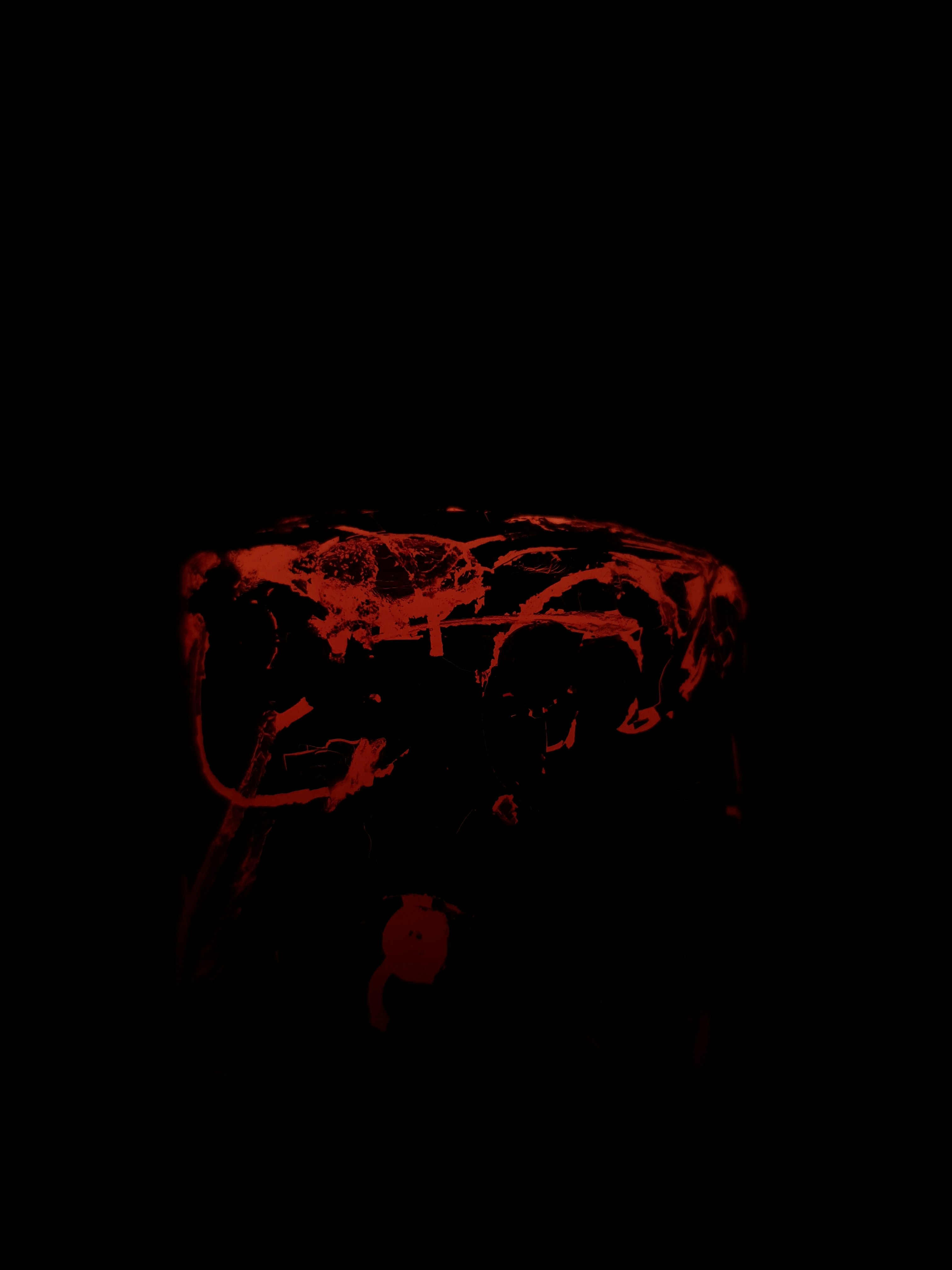 A glowing red object emerges from darkness, revealing intricate patterns against a black backdrop.