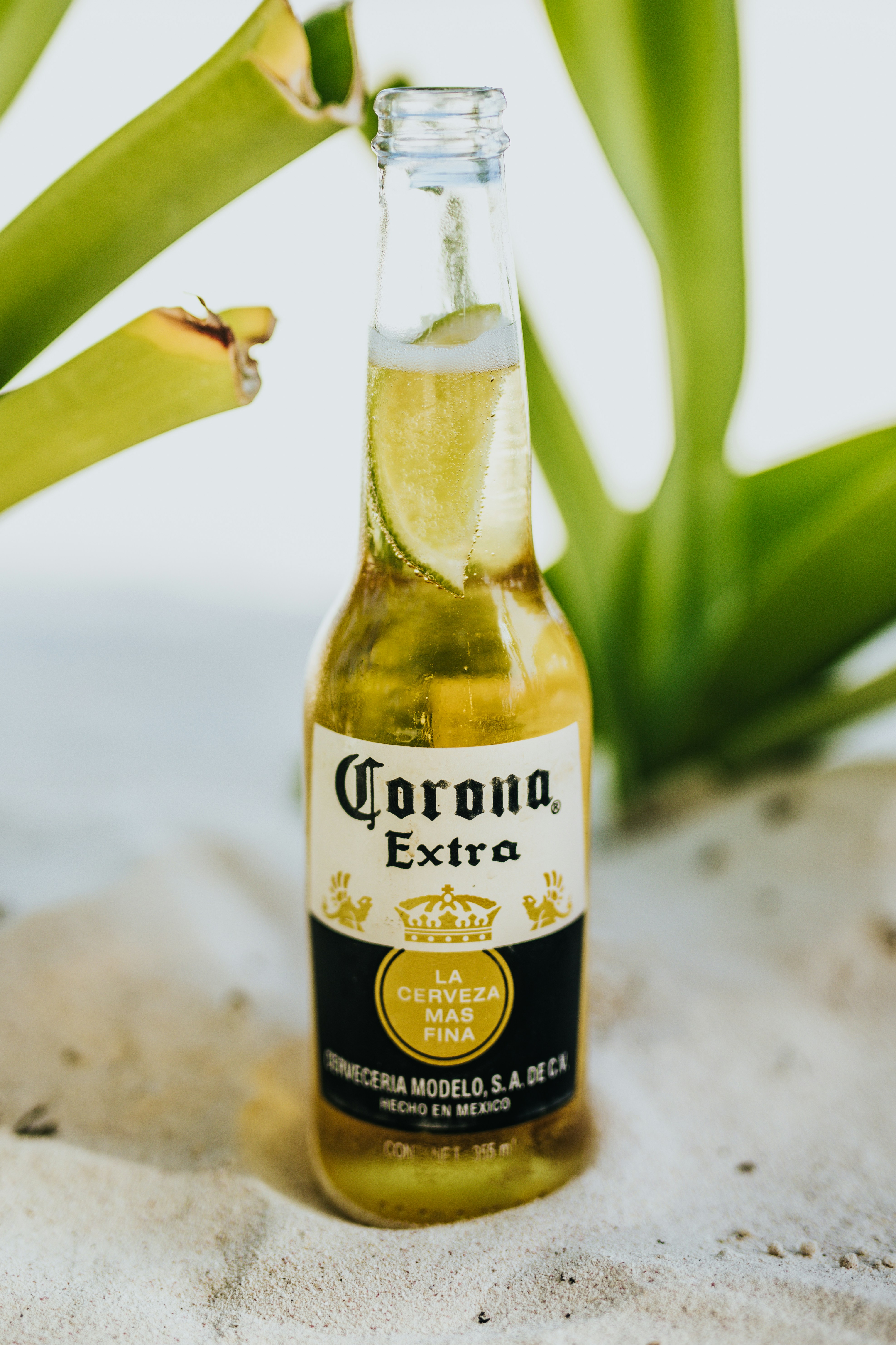 Corona on the Shore: a sunlit beer bottle anchored in beach sand