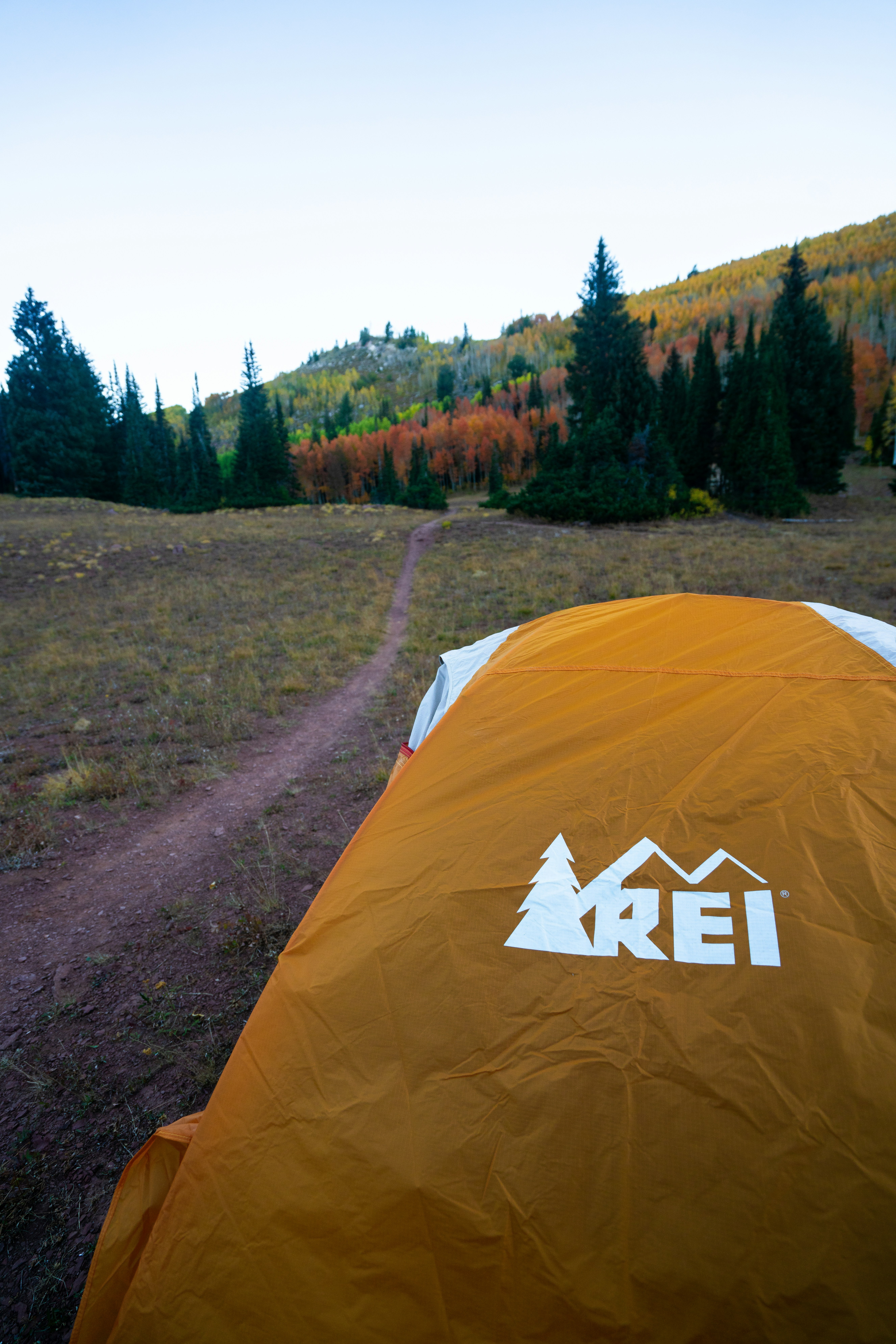 Autumn Meadow Camp: The Orange REI Tent at the Forest's Edge