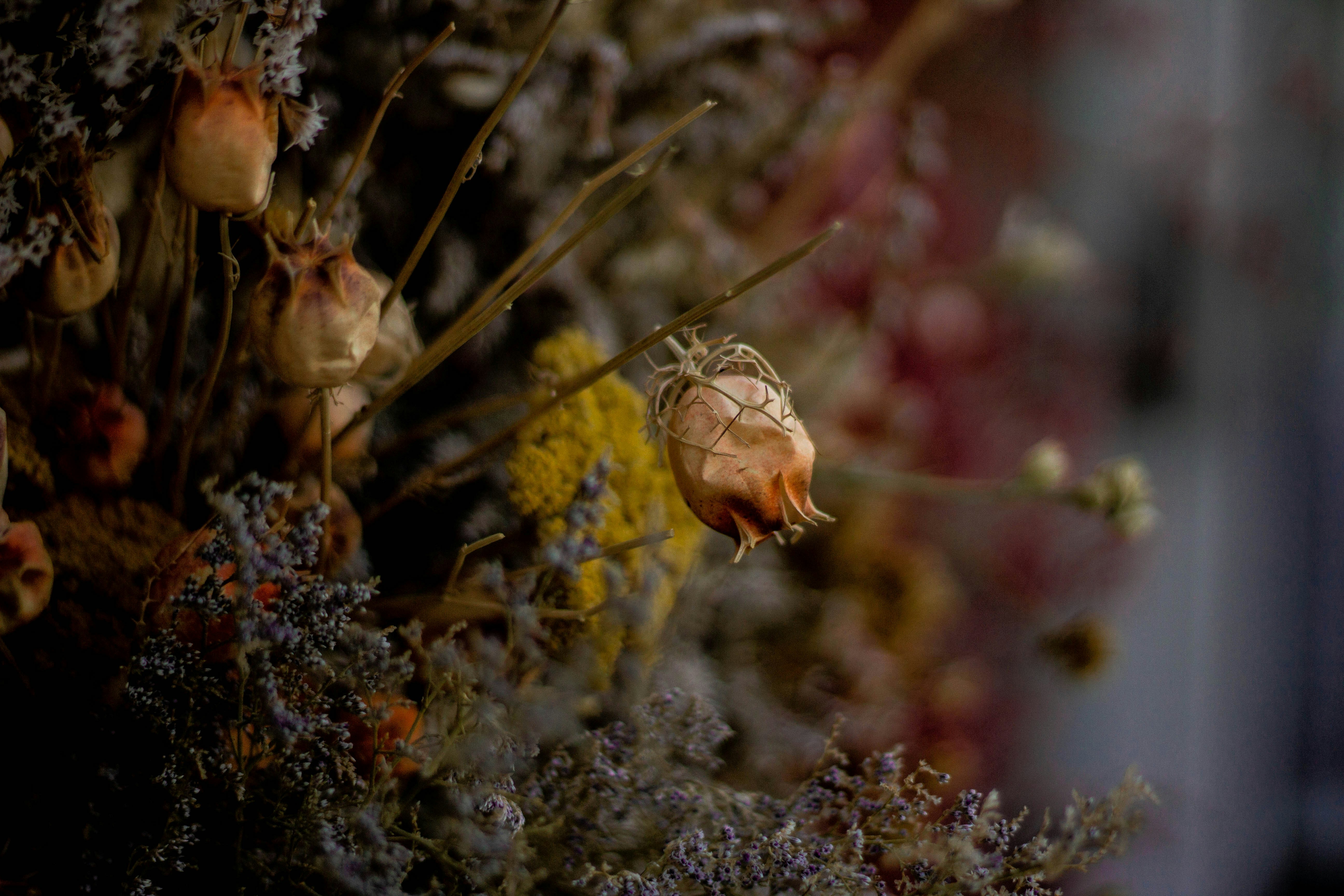 Withered Rose Pendant: A Quiet Moment in a Dried Floral Still Life