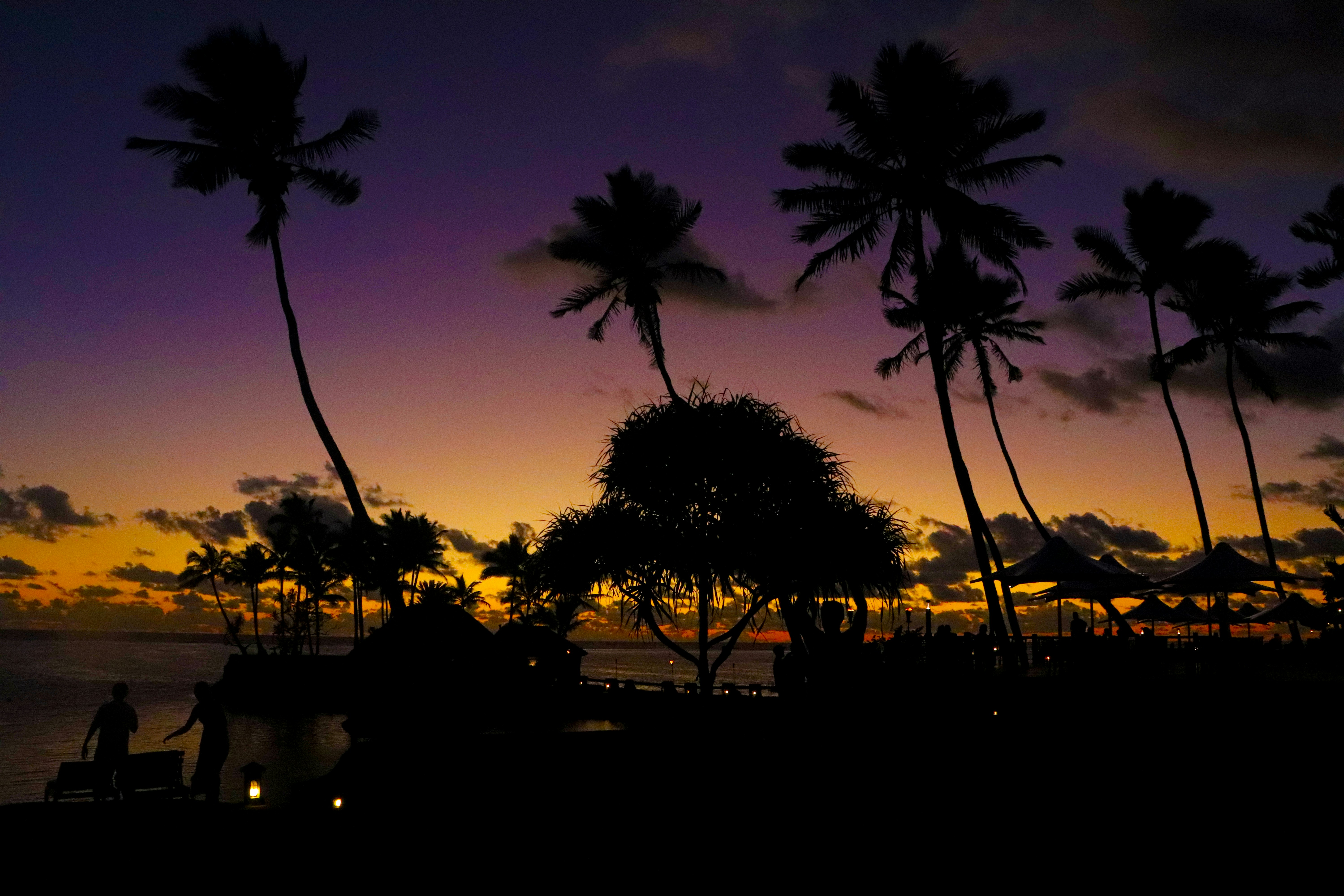 Jonathan Fong (@jonafiji) | Unsplash Photo Community