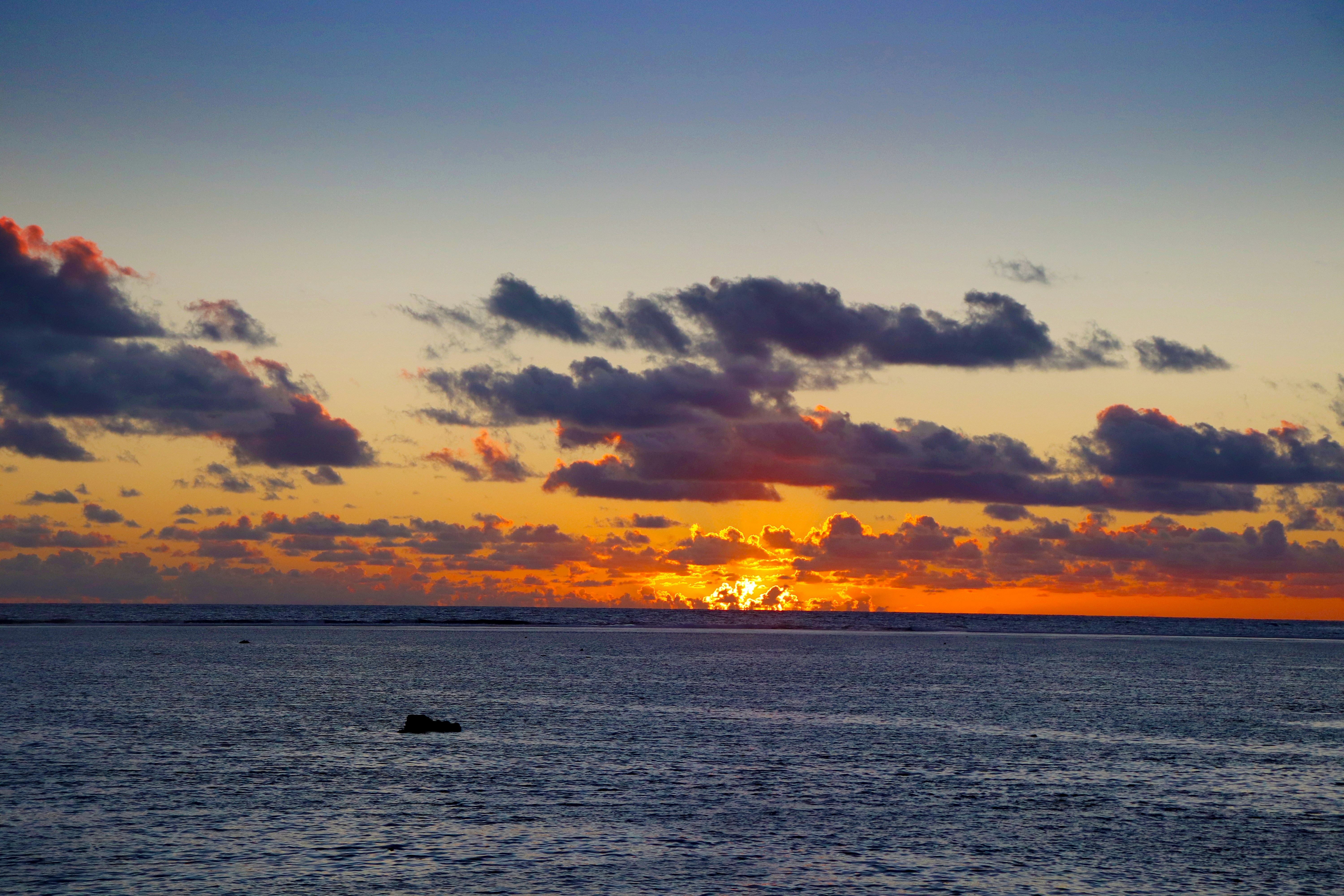 Jonathan Fong (@jonafiji) | Unsplash Photo Community