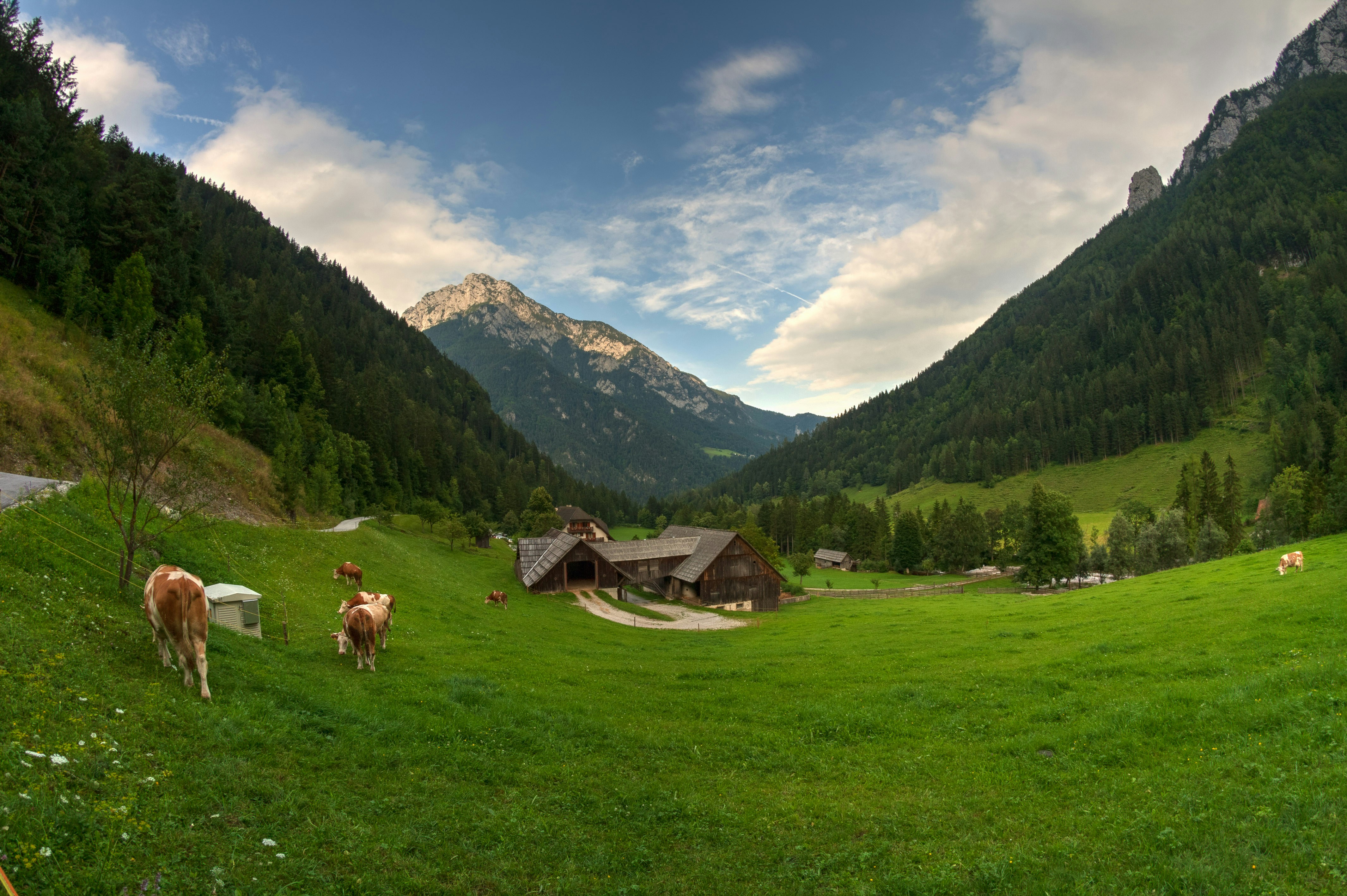 House between mountains photo – Free Cow Image on Unsplash
