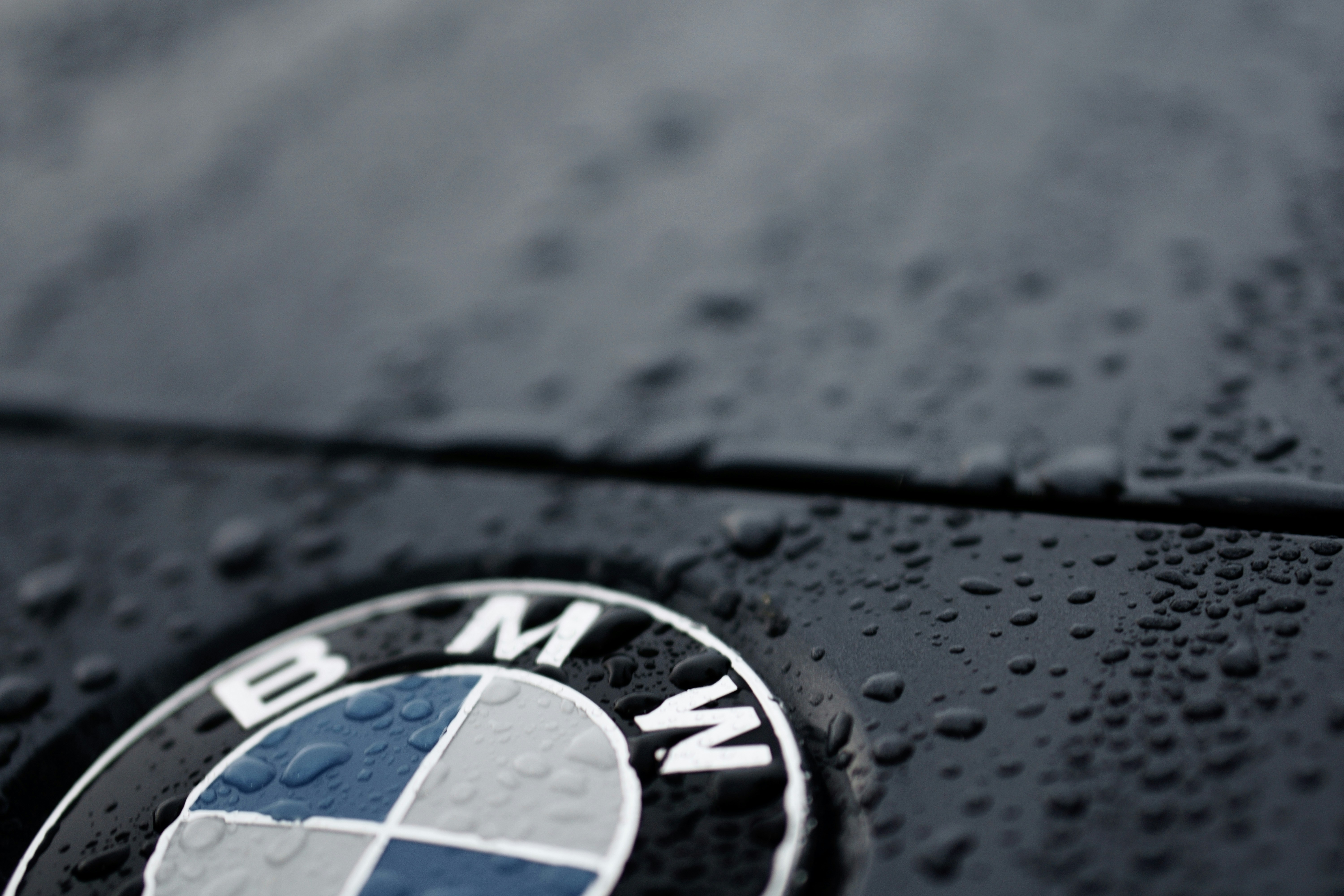 Close-up of a BMW logo adorned with droplets of water, showcasing the sleek surface beneath. The image highlights the emblem's design against a dark backdrop.