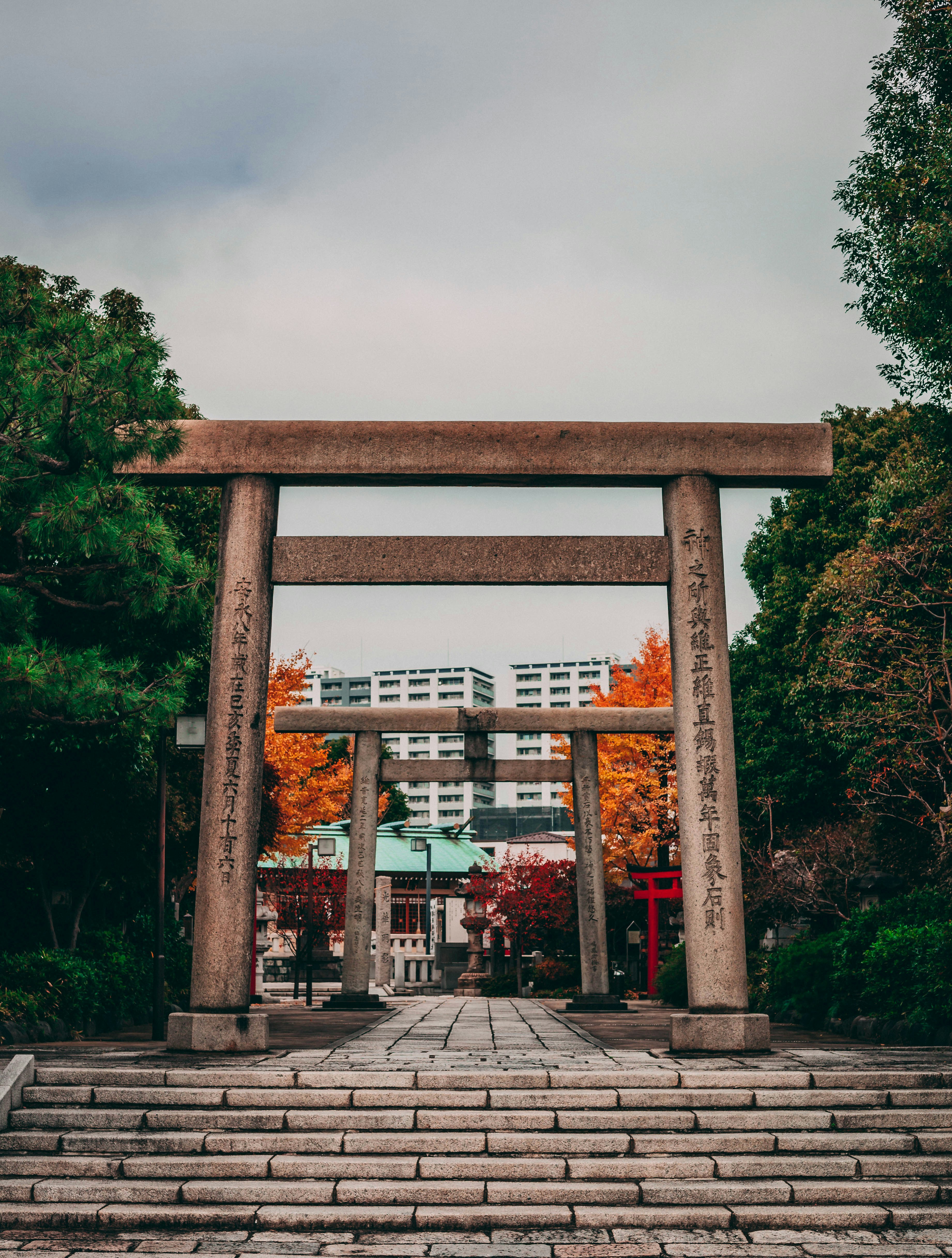 Gateway to Tranquility: A Serene Passage Through Time