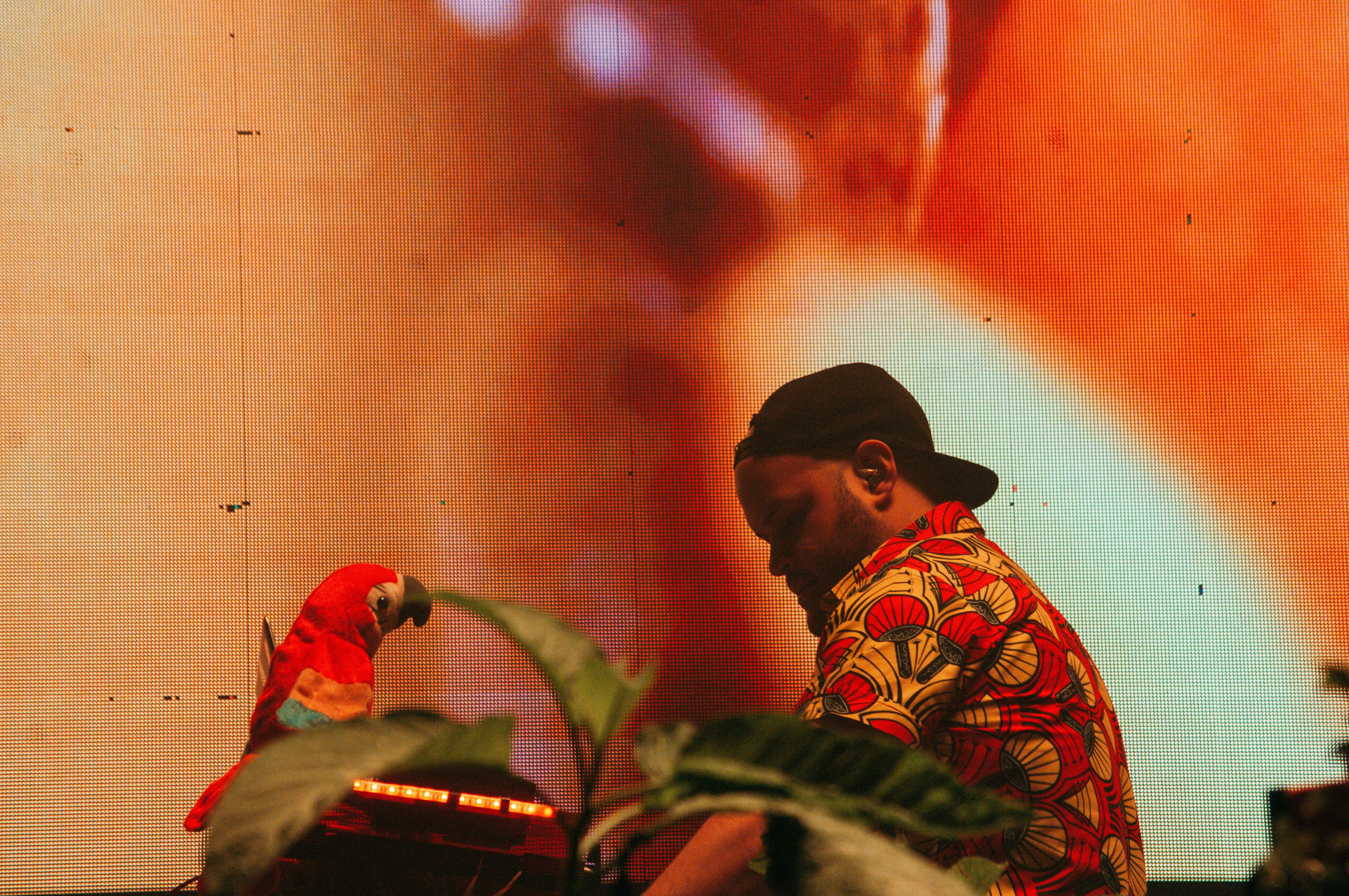 Patterned Pulse on a Fiery Stage