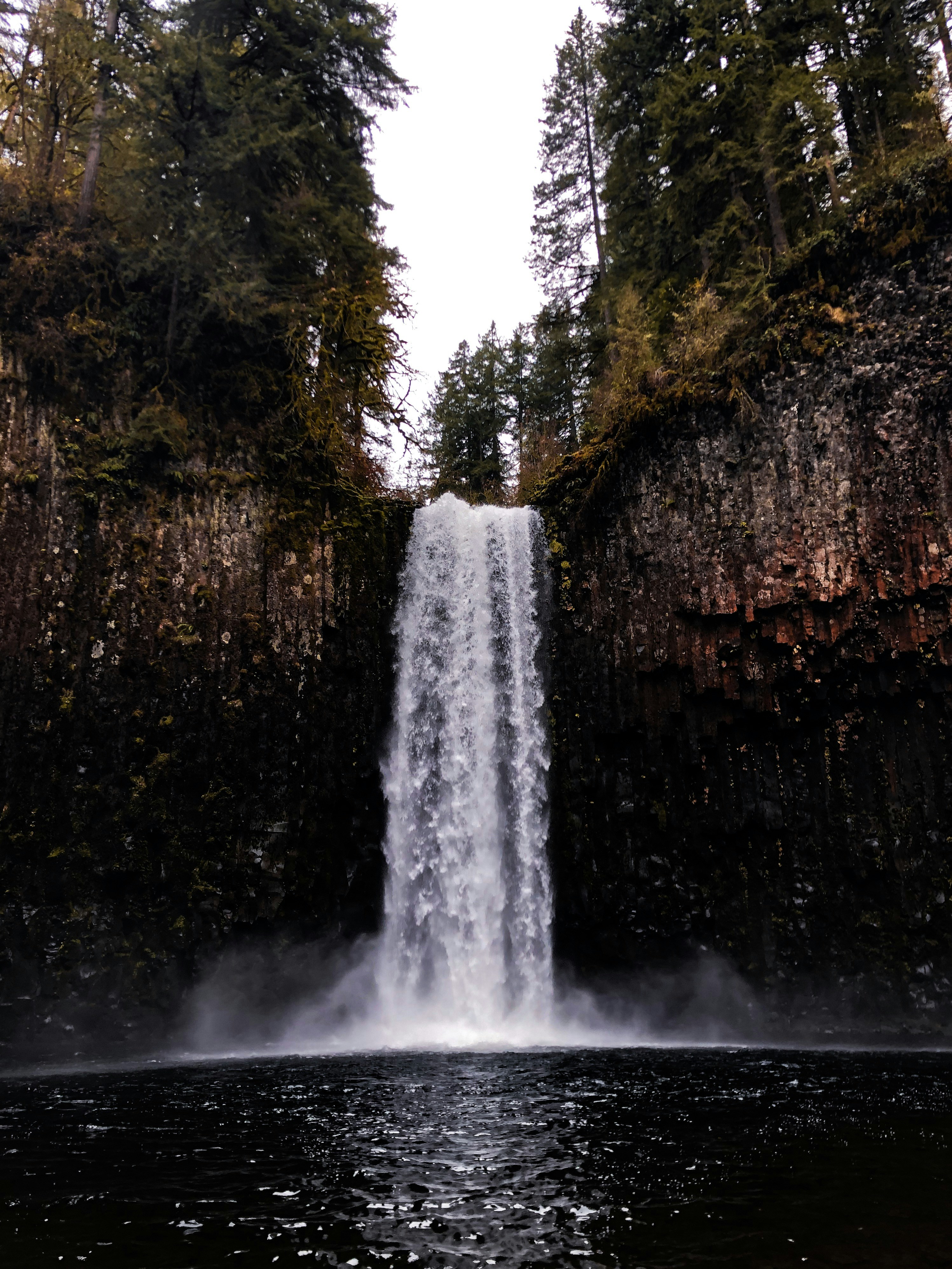Waterfalls in forest photo – Free Tumblr backgrounds Image on Unsplash