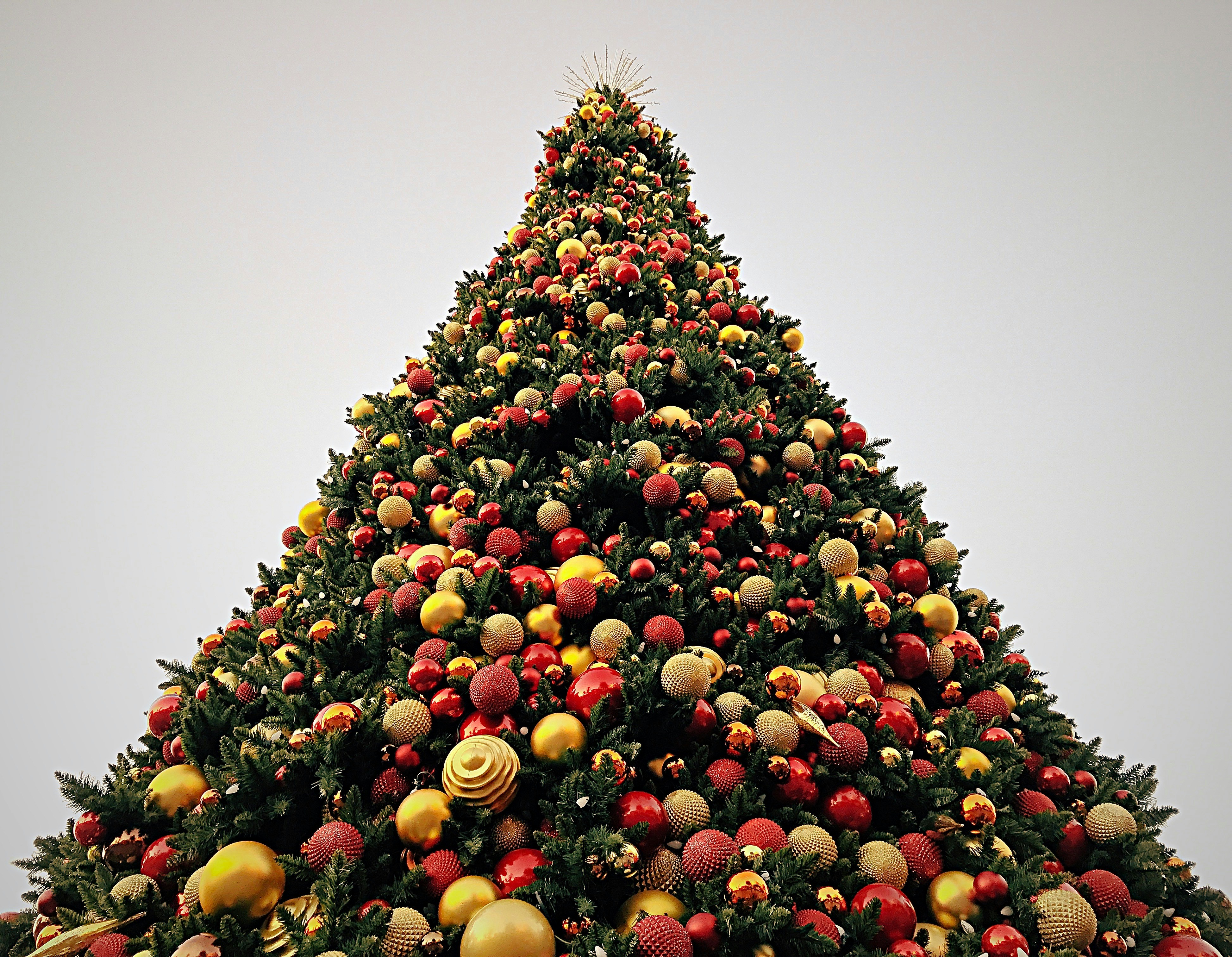Peak of Ornament: A Christmas Tree Crowned in Berries and Lights