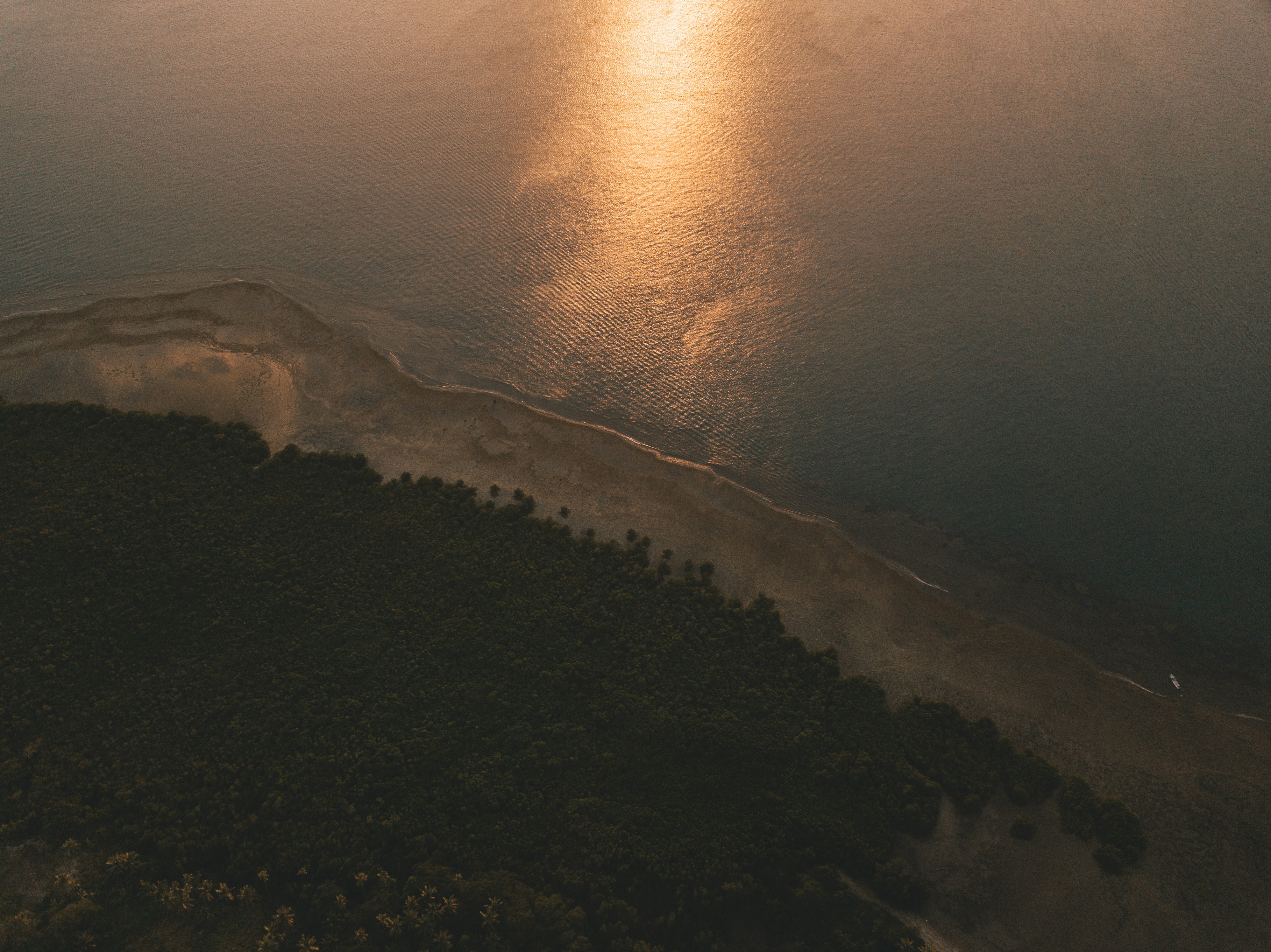 This captivating aerial shot captures the serene meeting of land and sea at dusk, with the sun casting a golden hue across the water's surface. The composition features a lush, forested coastline contrasted against the shimmering ocean, creating a harmonious blend of dark greens and warm amber tones. The tranquil atmosphere and striking play of light make this image a visually compelling depiction of natural beauty.
