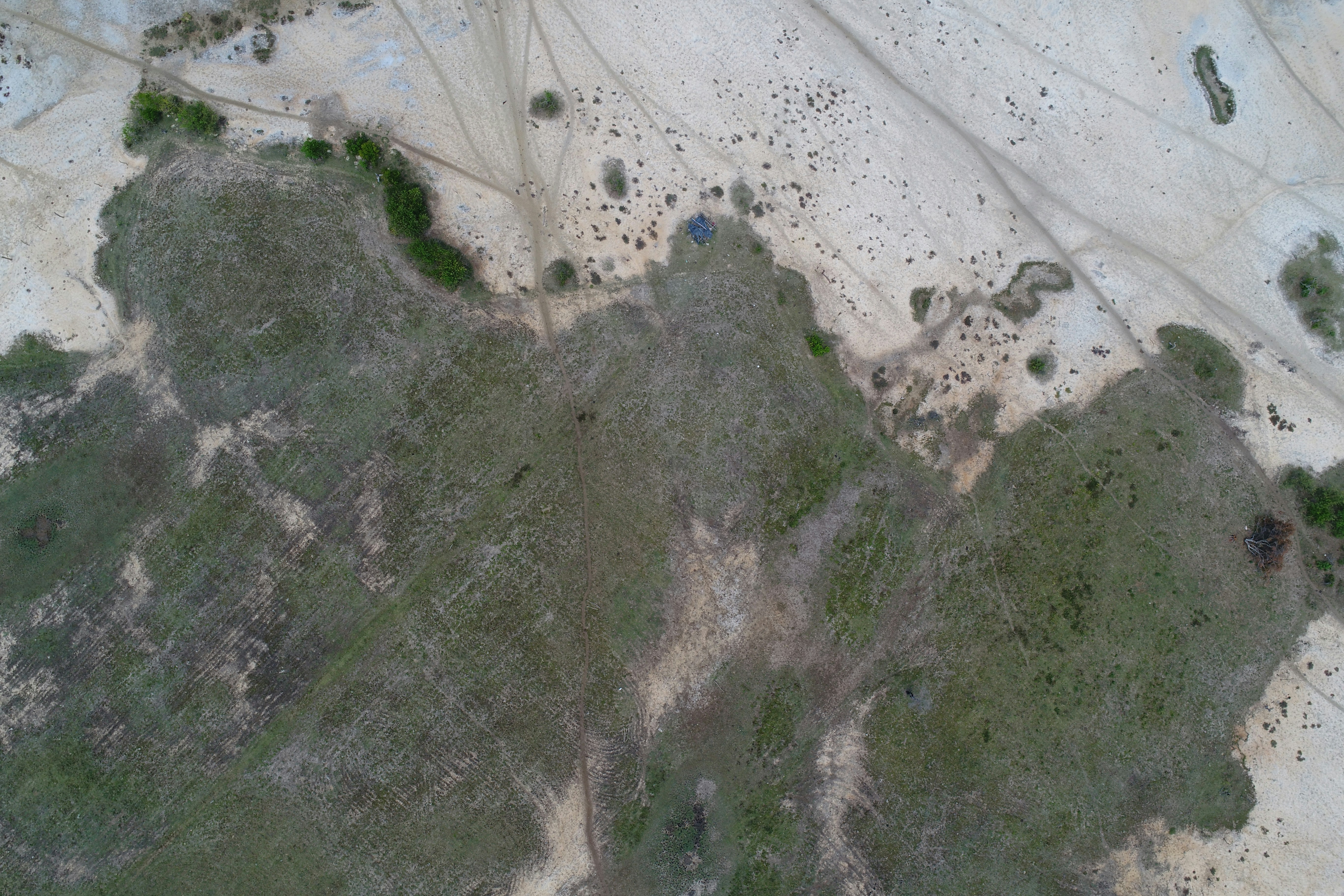 Rasika Kahandagamage (@rasikak73) | Unsplash Photo Community