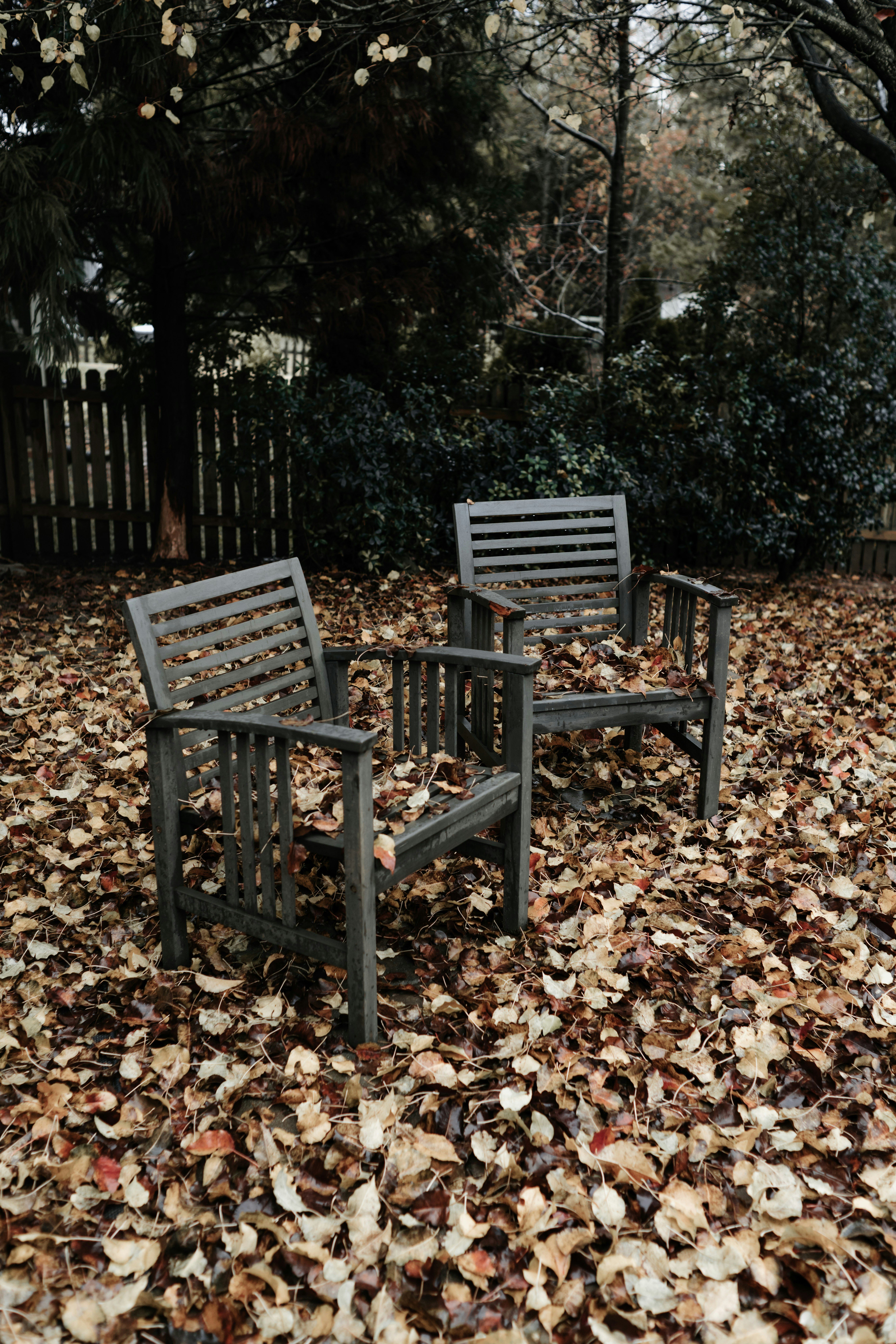 Two rustic wooden chairs nestled among a carpet of fallen leaves, evoking a serene atmosphere of autumn's embrace.