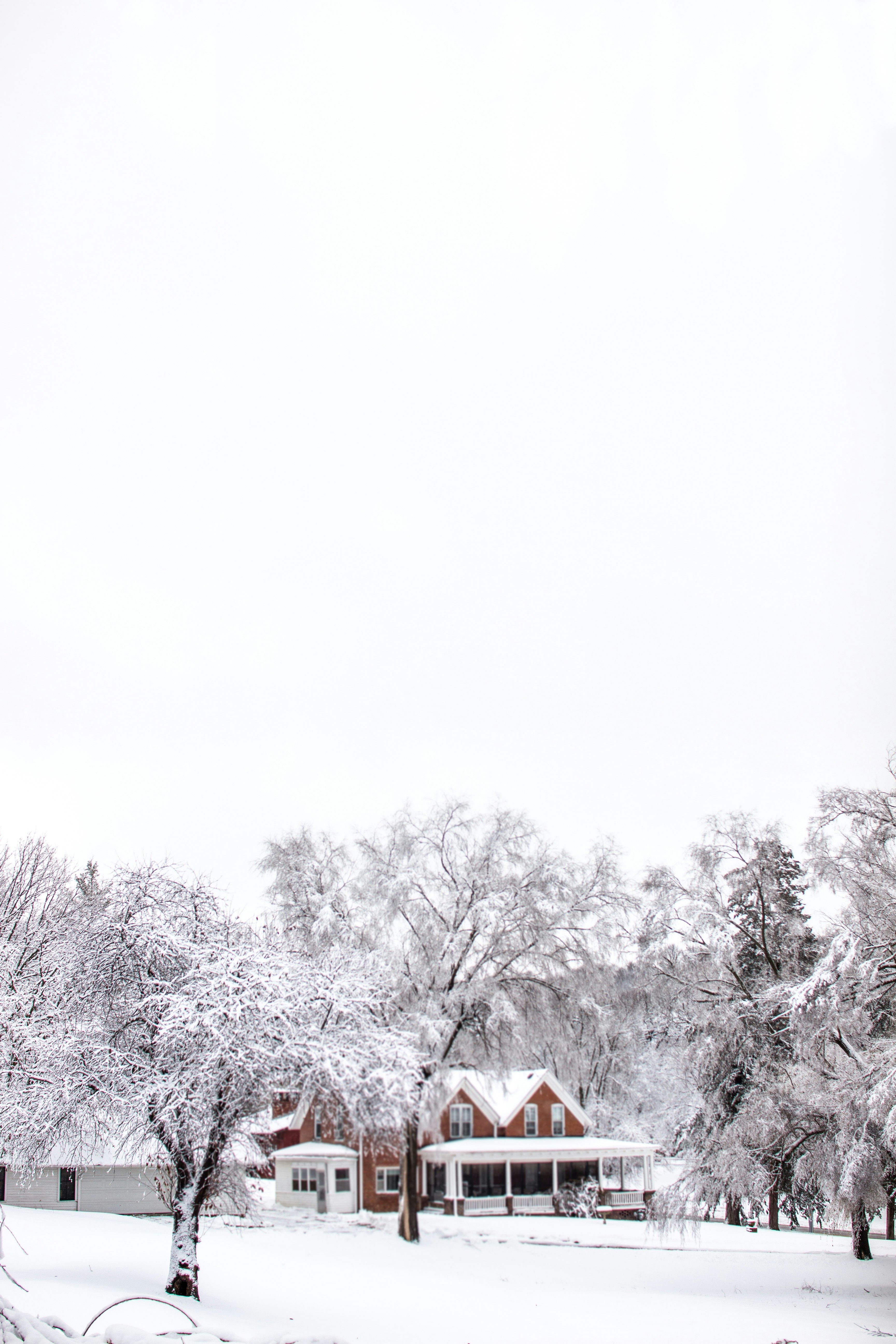 Red-Capped Cottage Amid Snow-Crowned Pines on a Quiet Winter Morning