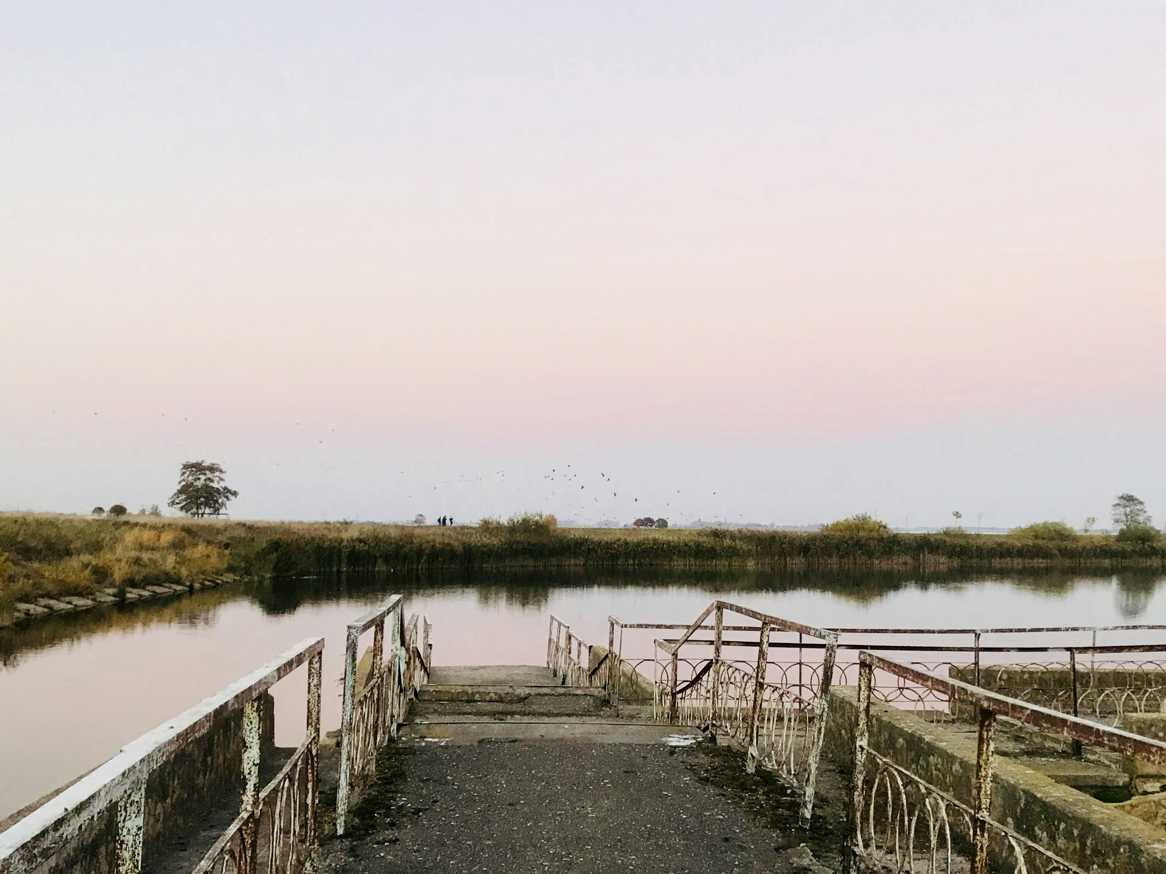 Wooden pier extending over calm water with a pastel sky at dusk.