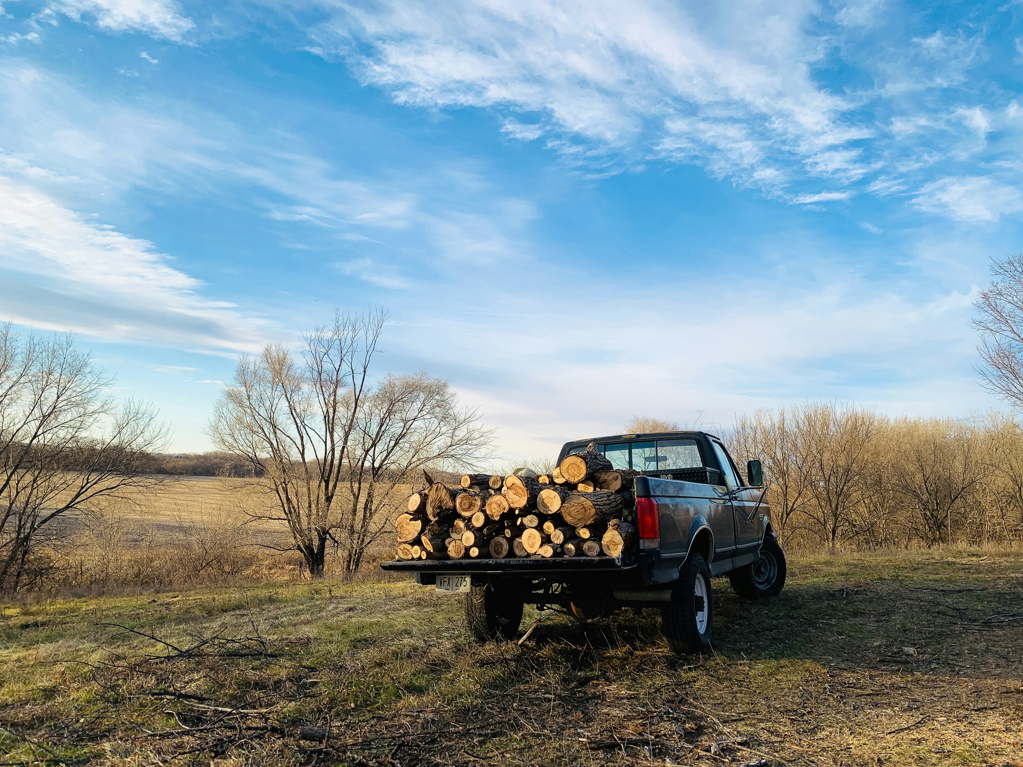 Black single cab pickup truck with brown wood logs photo – Free Truck ...