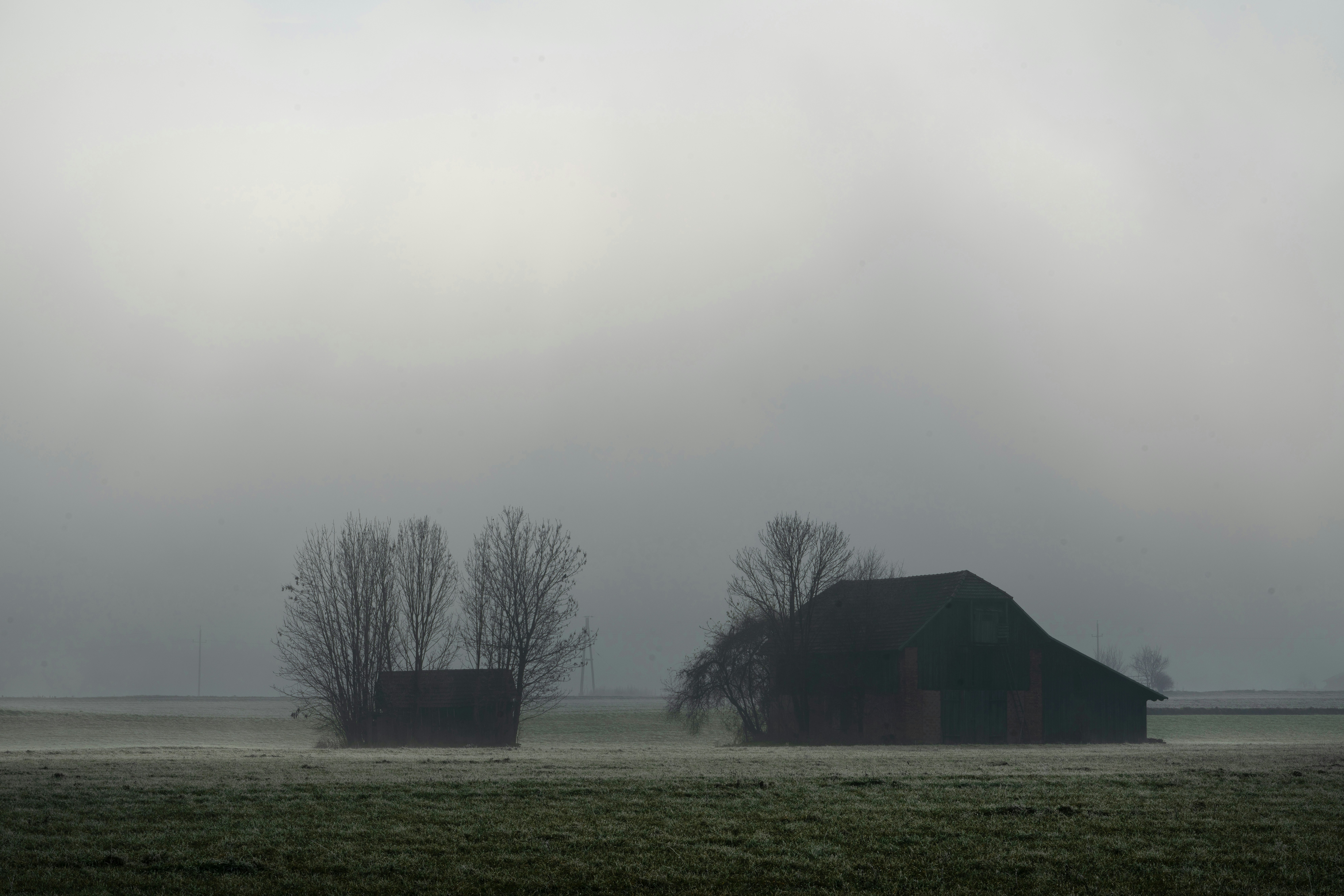 Silhouetted barn and trees emerge from a dense fog, creating a serene rural landscape. The muted tones evoke a sense of tranquility.