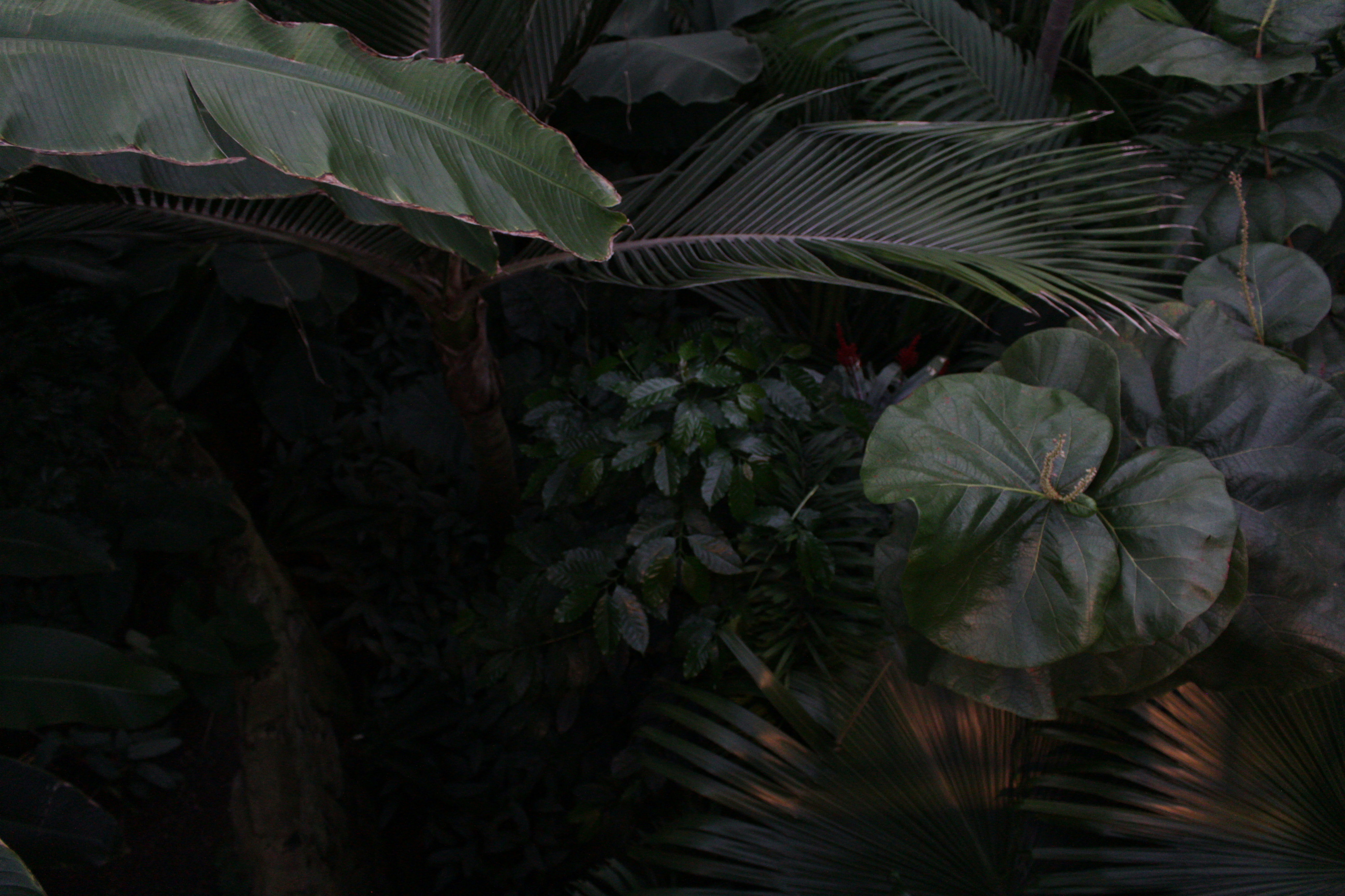 Raymond T. (@jajangmyeon) | Unsplashフォトコミュニティ