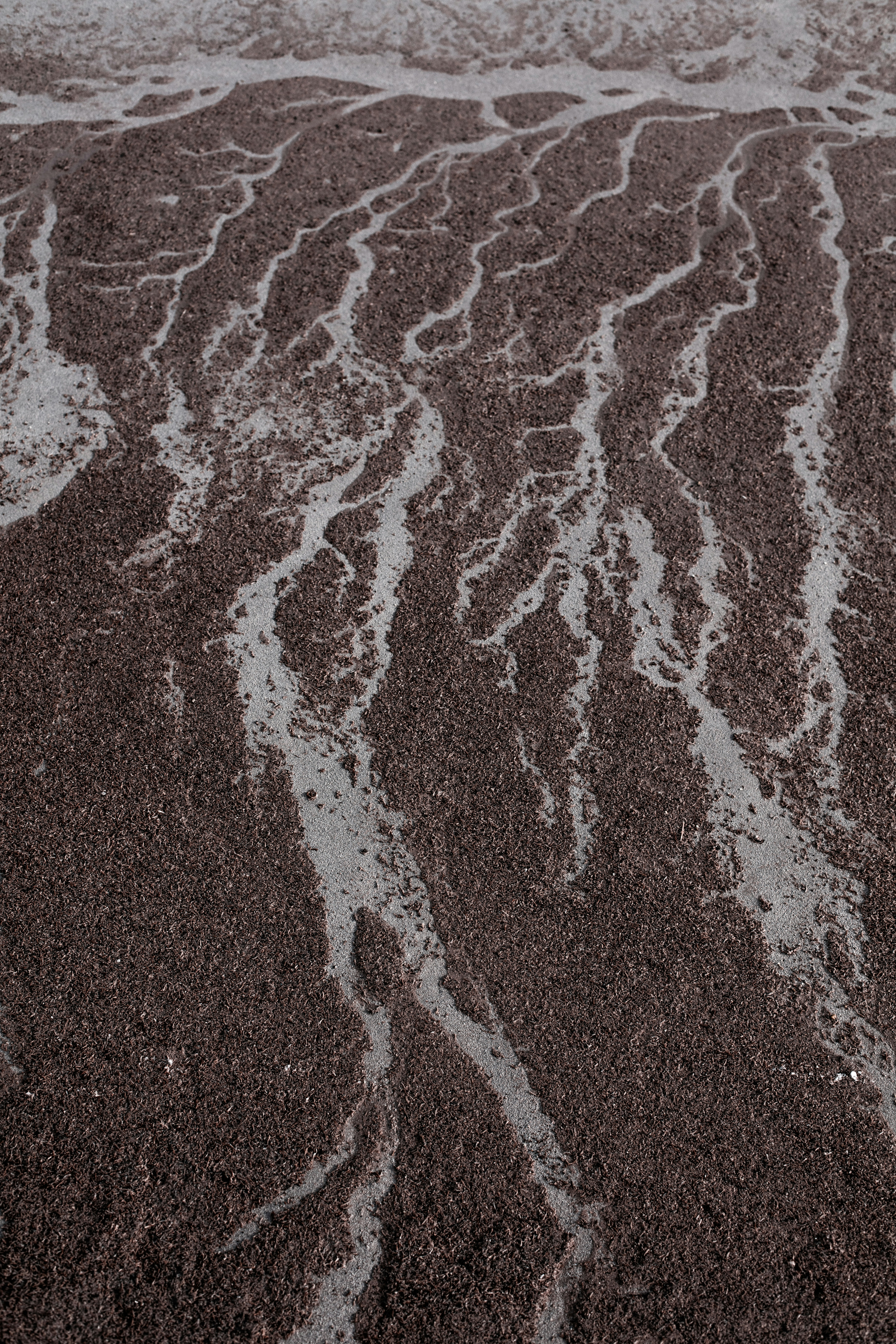 Water on sand on shore photo – Free Grey Image on Unsplash