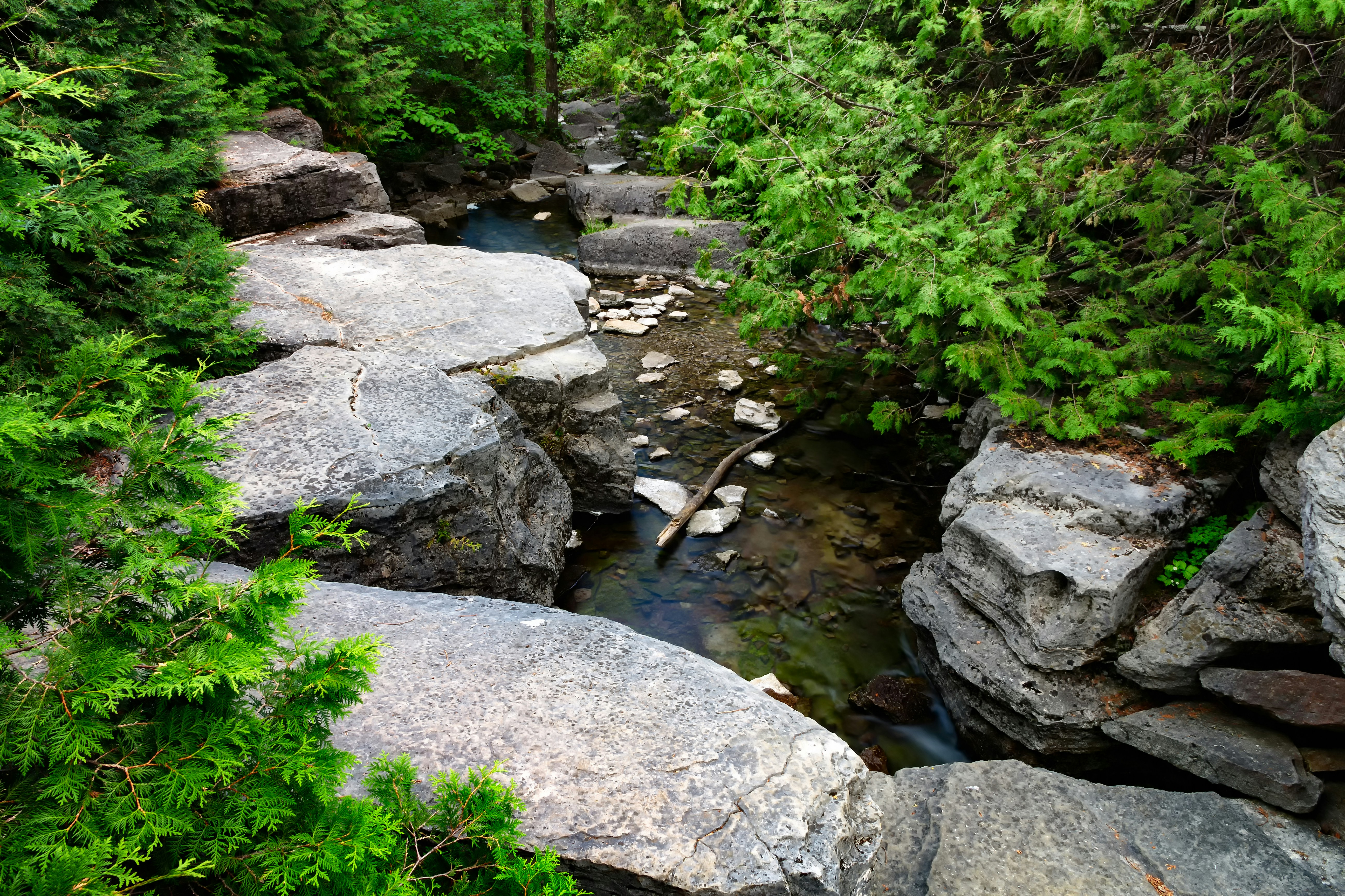 Clear stream flowing over smooth stones, surrounded by lush green foliage in a tranquil forest setting.
