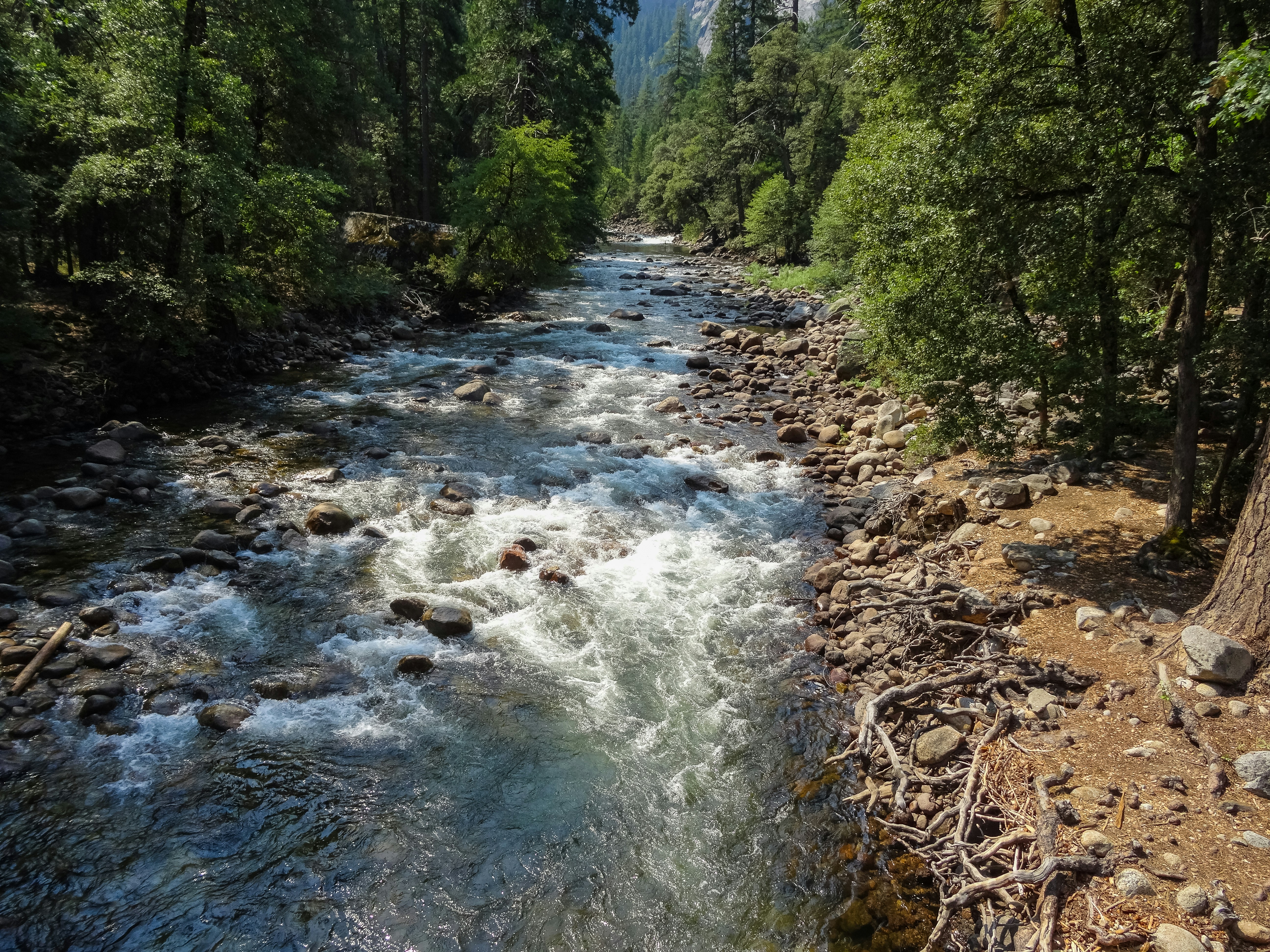 Rushing river weaving through a rocky landscape, framed by lush greenery and towering trees. The scene captures the essence of a tranquil wilderness.