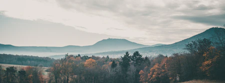 Ridge of Quiet Autumn: A Misty Panorama of Hills and Pines