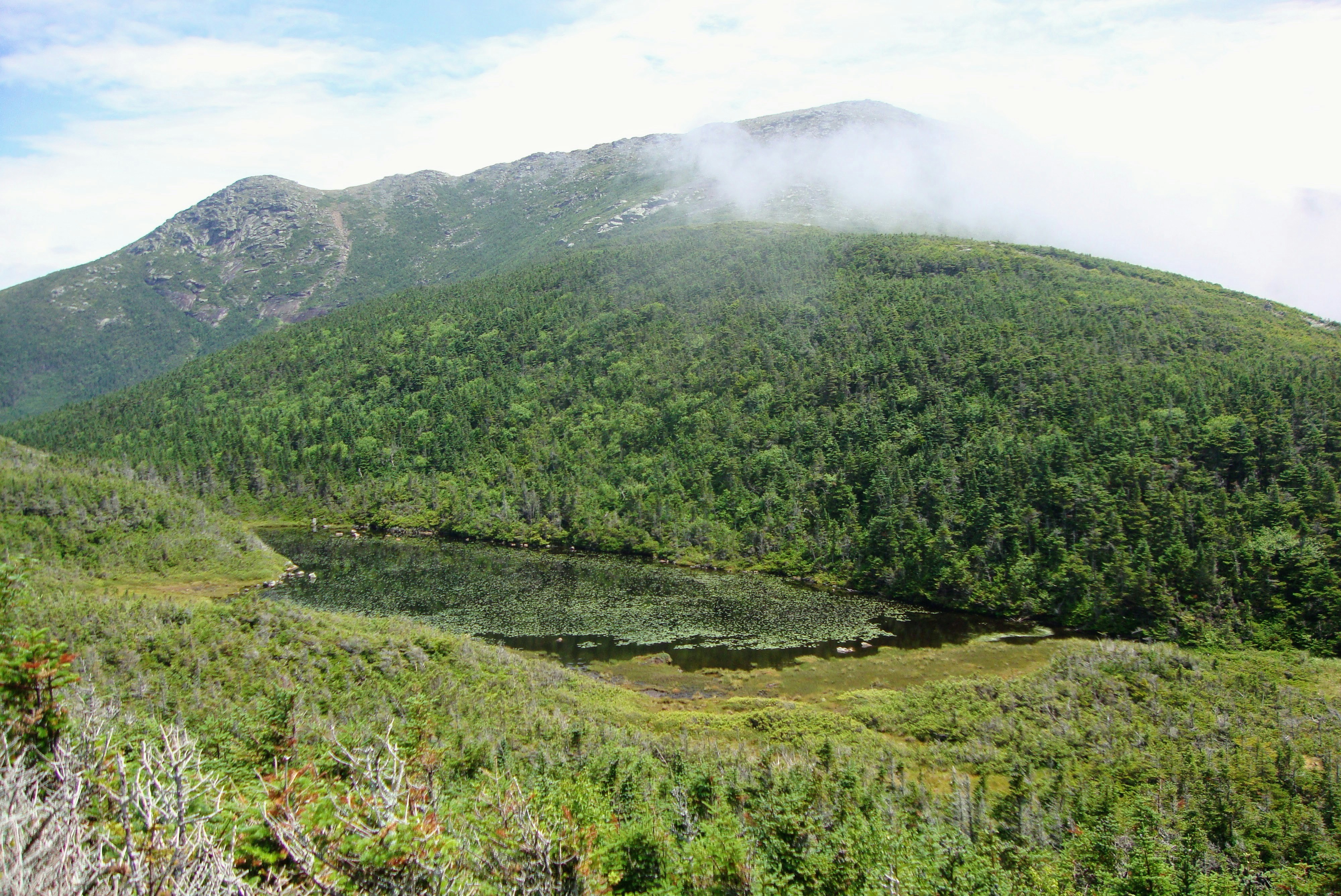 Verdant Basin: A Quiet Lake Between Mist-Wreathed Hills