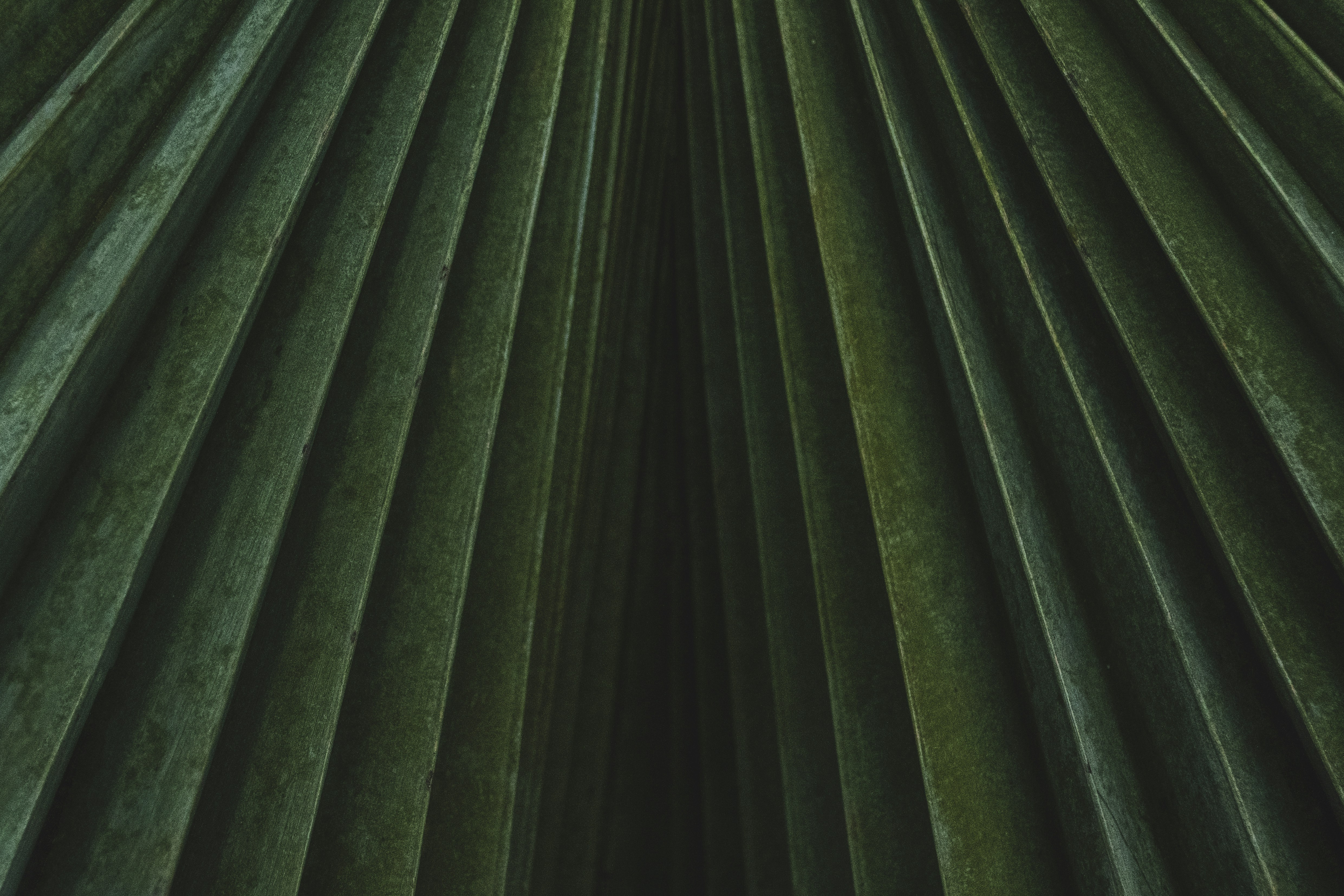 Close-up of deep green fabric folds creating a dramatic sense of depth and texture.