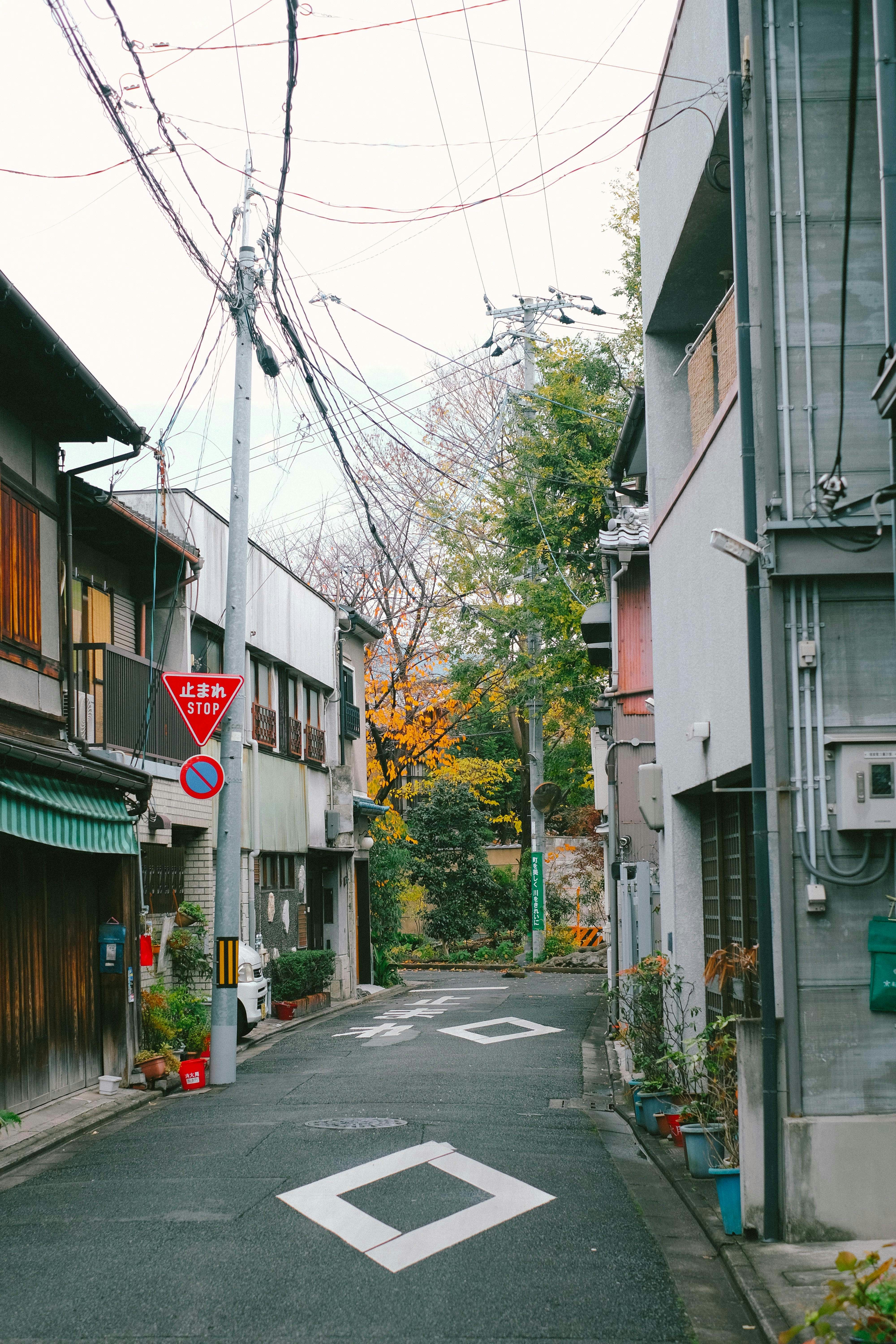 A serene alleyway lined with quaint houses and vibrant autumn foliage, showcasing the charm of urban life. The scene is punctuated by utility poles and a stop sign.