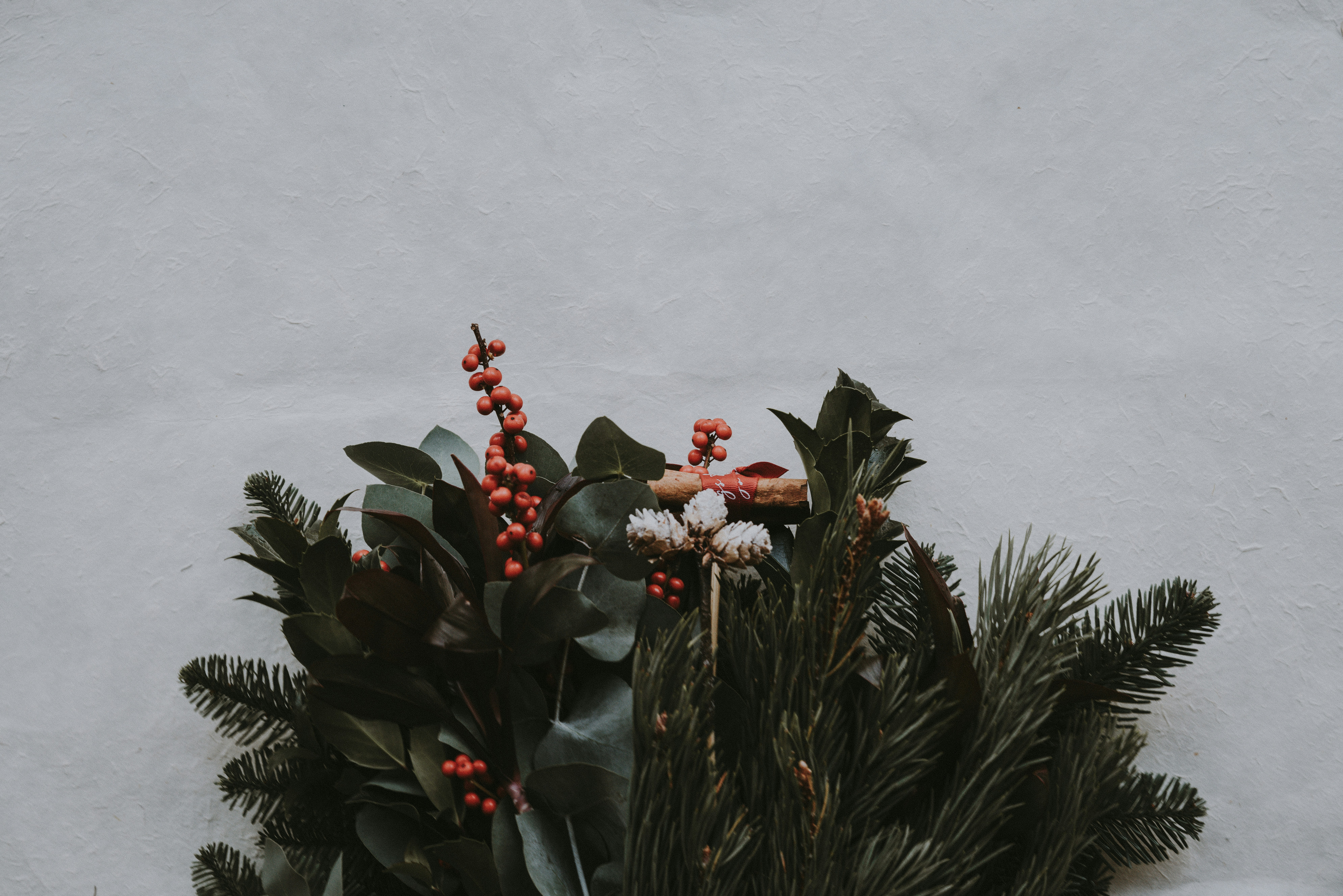 Crimson Berries Nestled in Winter Greens Against a Pale Gray Wall