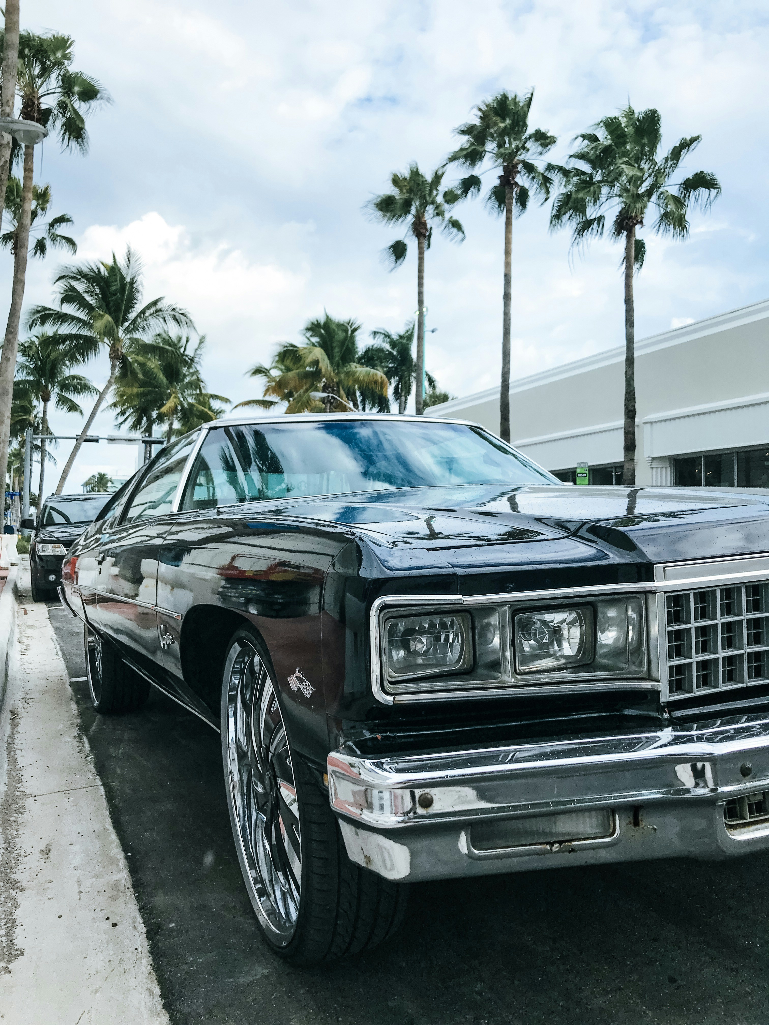 Chrome-on-Curb: A Vintage Truck Framed by Palm Trees