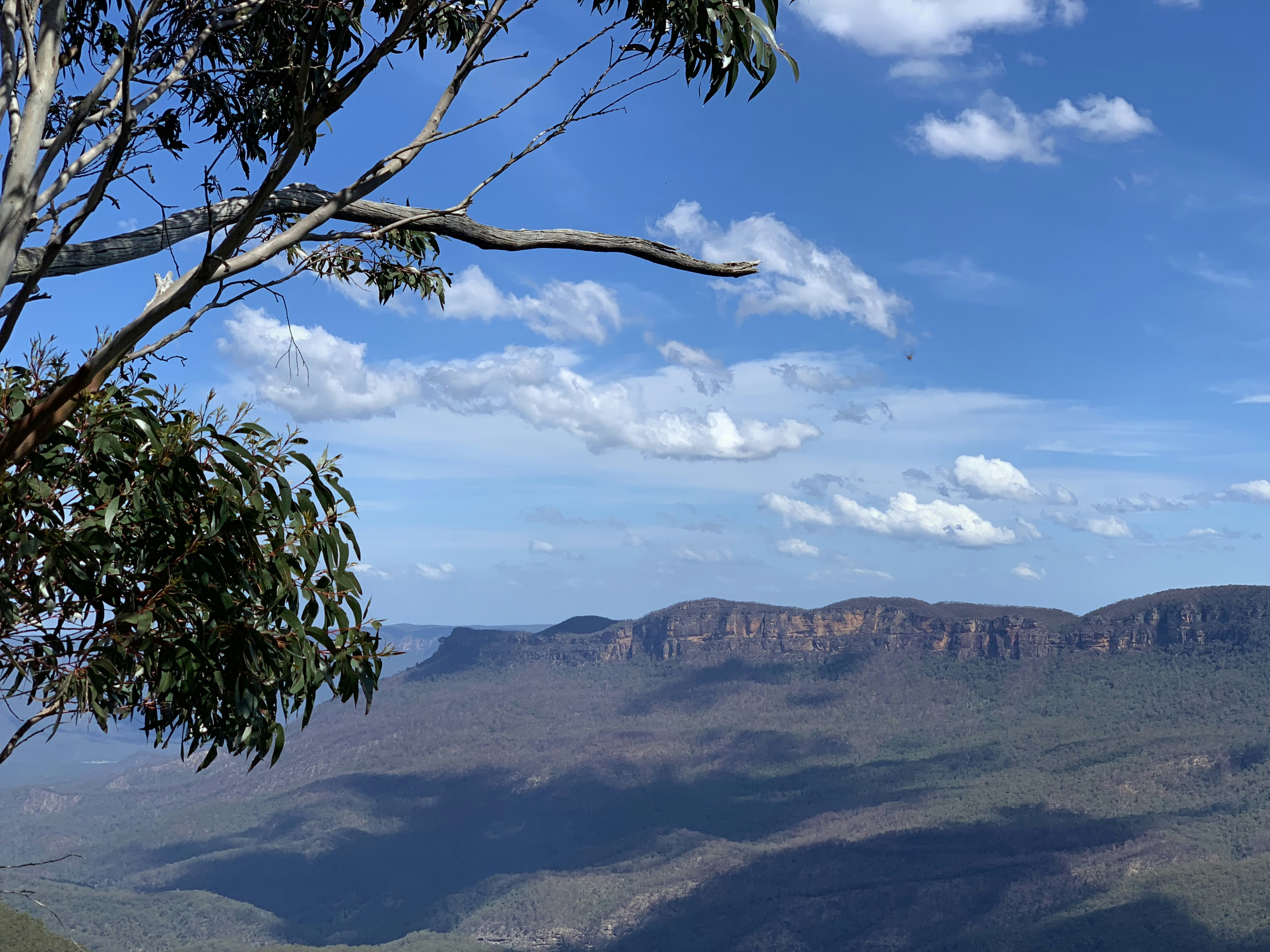 Carl Calvert (@calvertcc) | Unsplash Photo Community