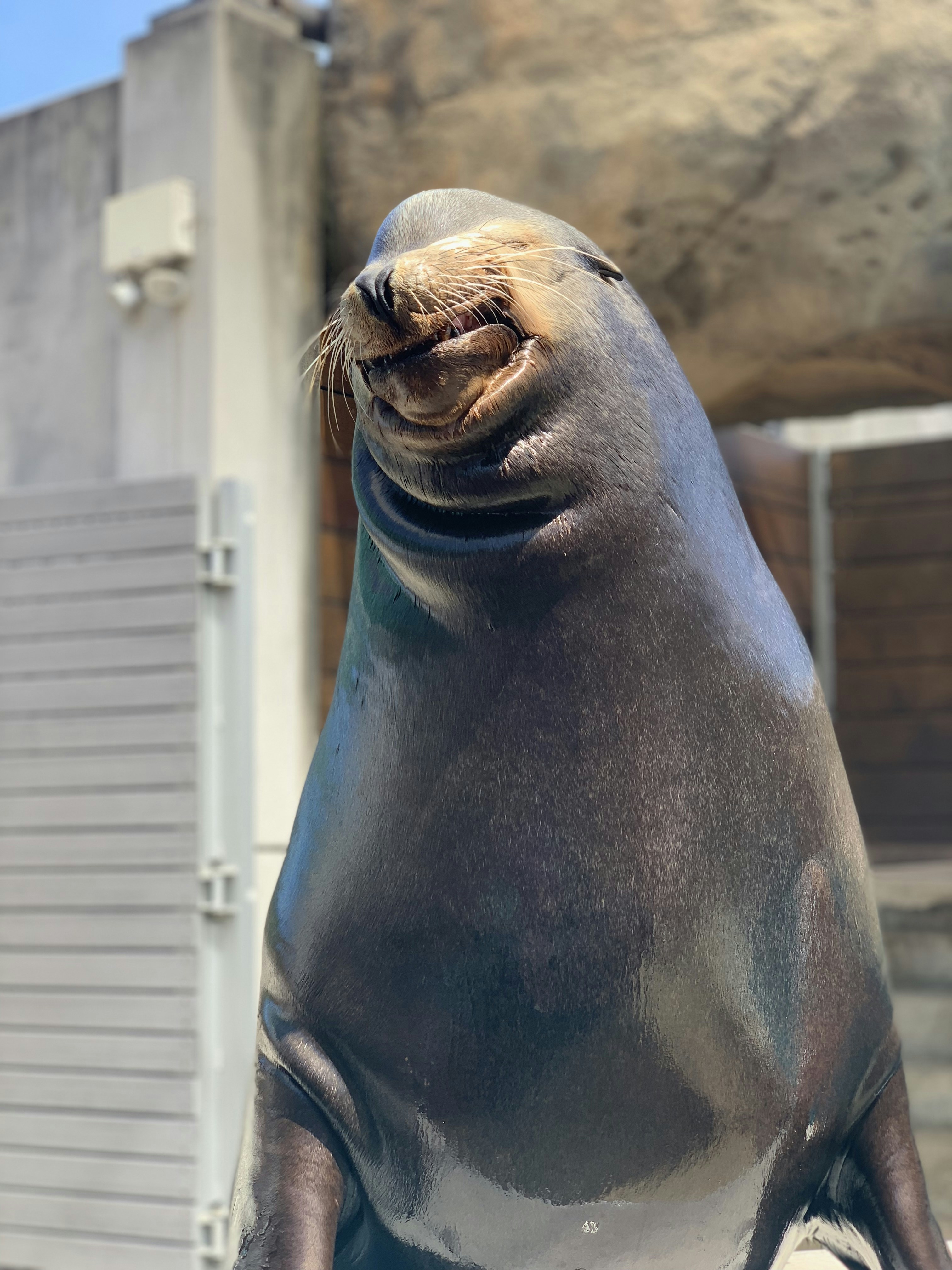 Carl Calvert (@calvertcc) | Unsplash Photo Community