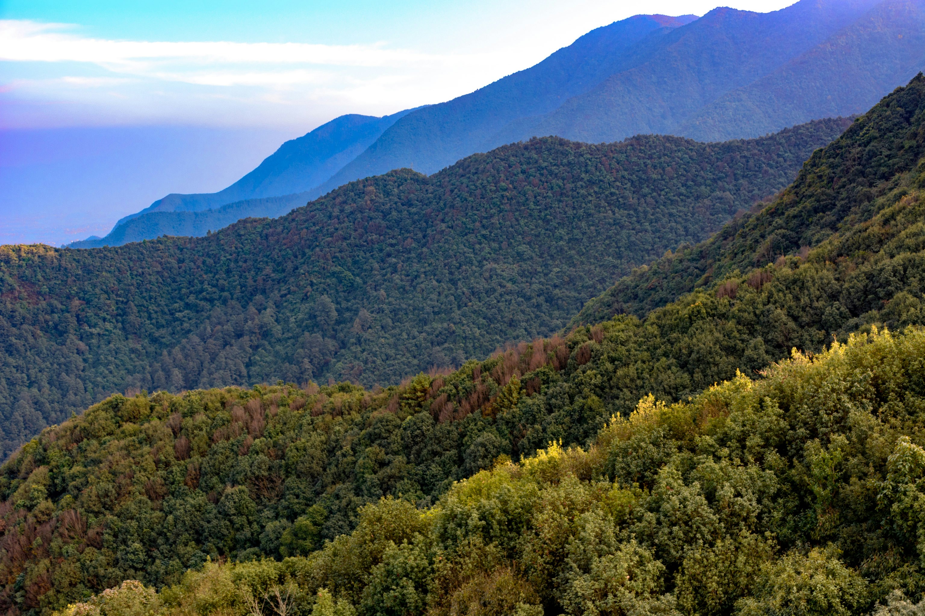 Lush green hills stretch into the distance under a soft blue sky.