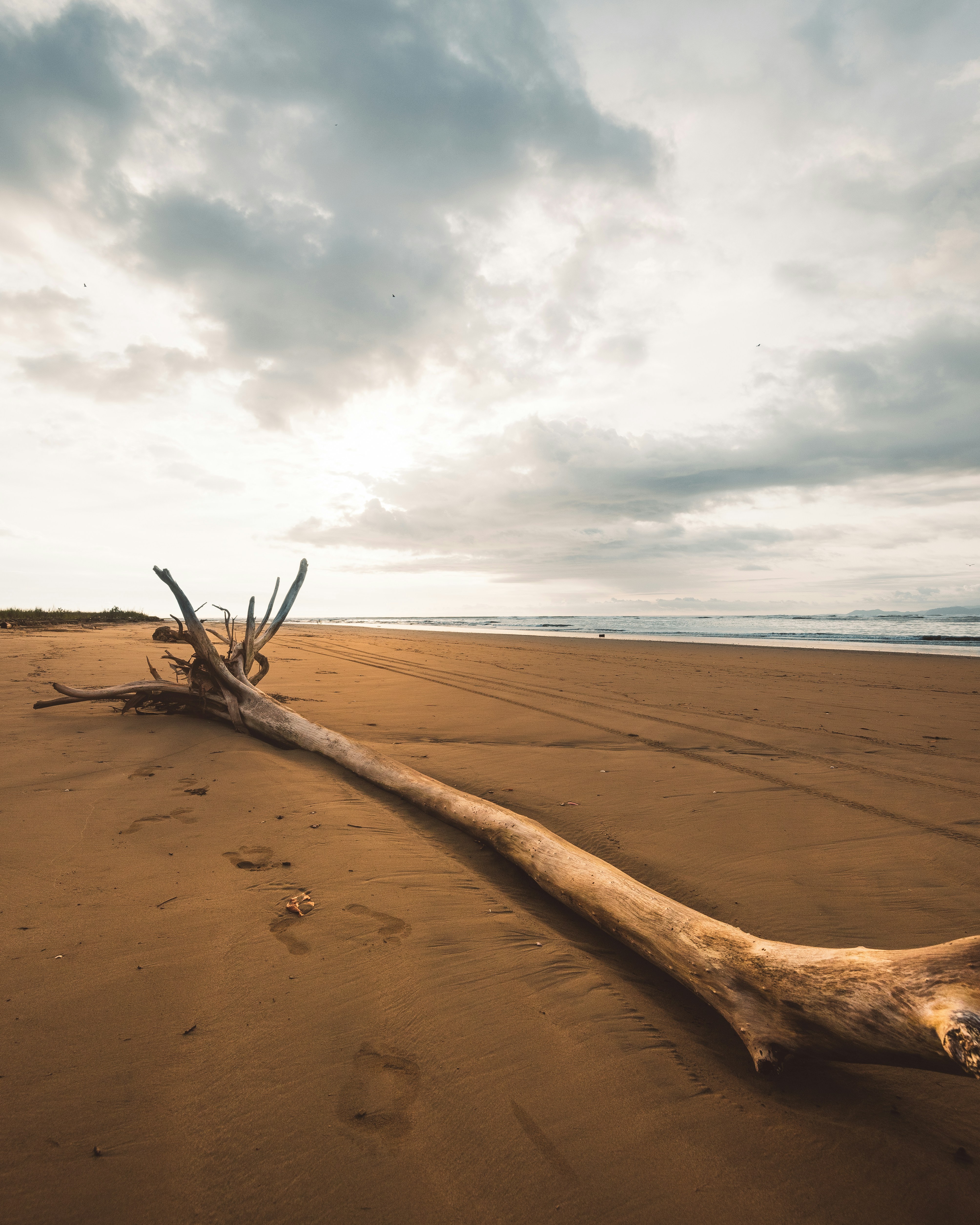 Brown wood slab photo – Free Beach Image on Unsplash