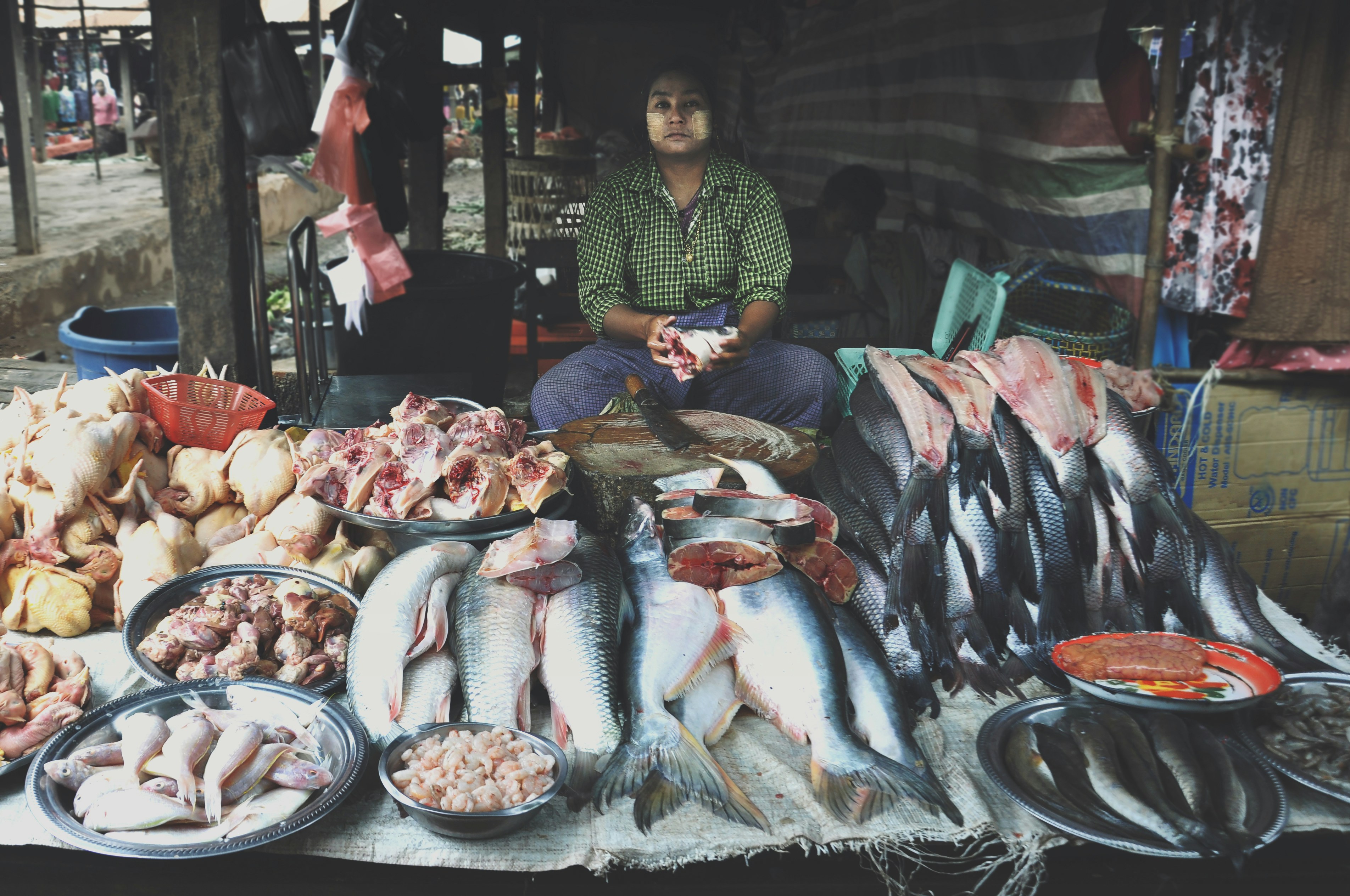 Local vendor seated at a bustling market stall surrounded by an array of fresh fish and meats. The vibrant display highlights the richness of local cuisine.