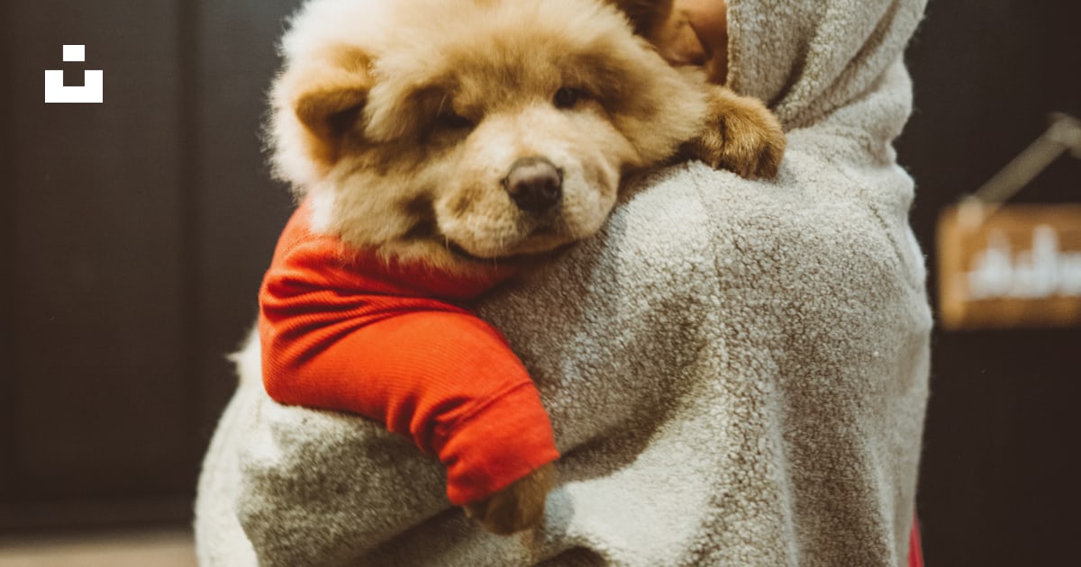 베이지색 개를 데리고 있는 여자 사진 Unsplash의 무료 암컷 개 주인 이미지