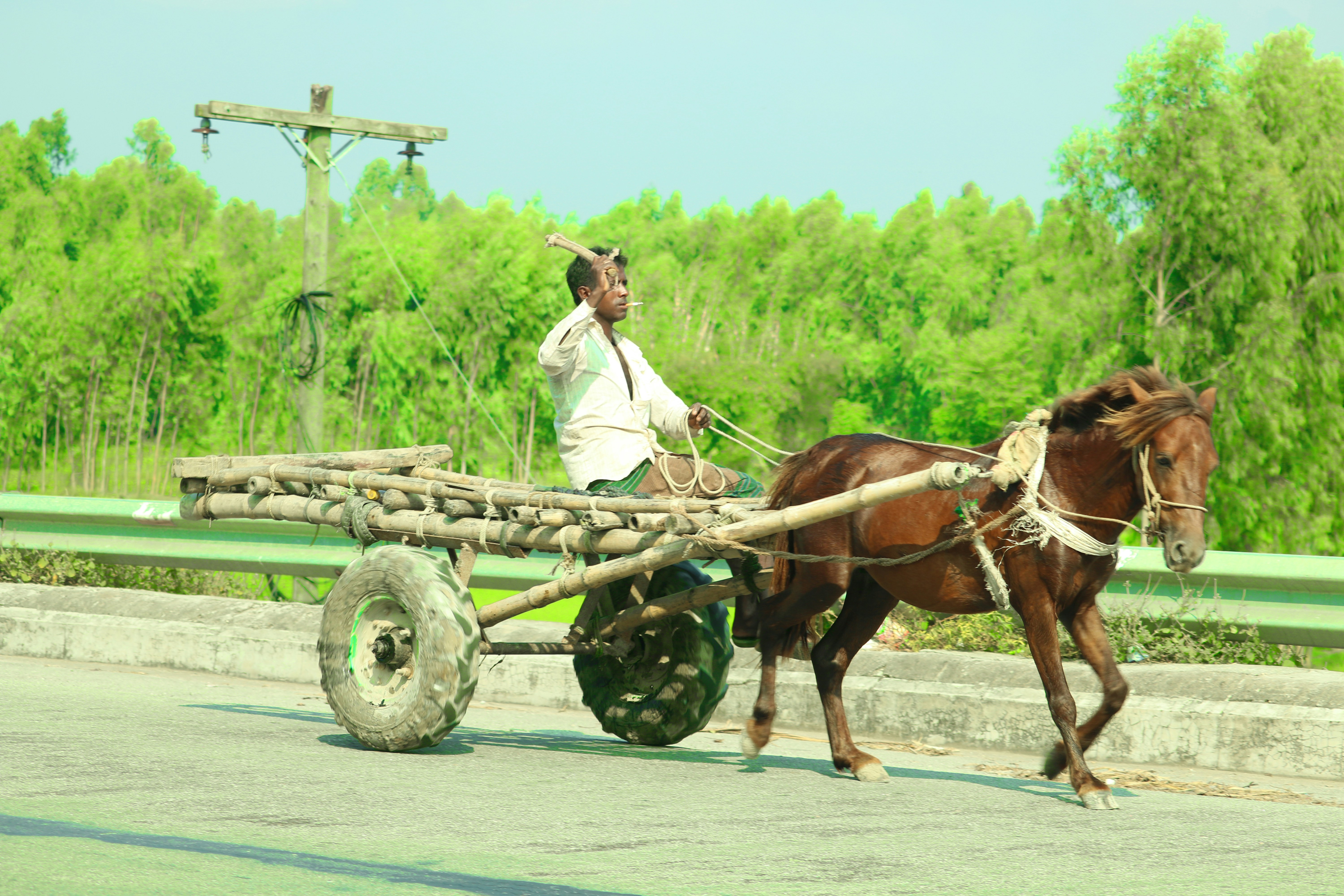 Man riding carriage connected to horse photo – Free Human Image on Unsplash