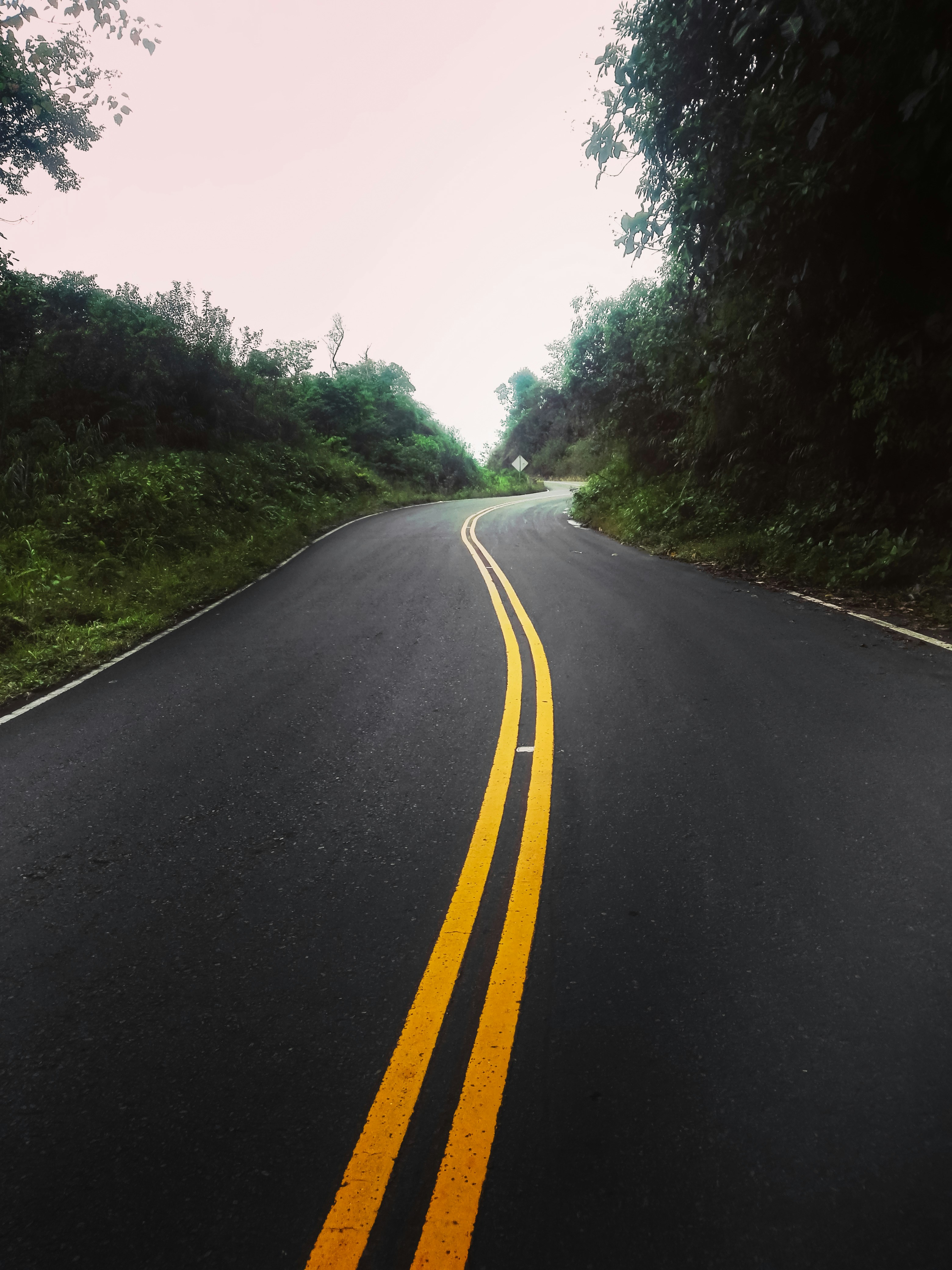 Asphalt road with vibrant yellow lines curves through lush greenery under a pastel sky.