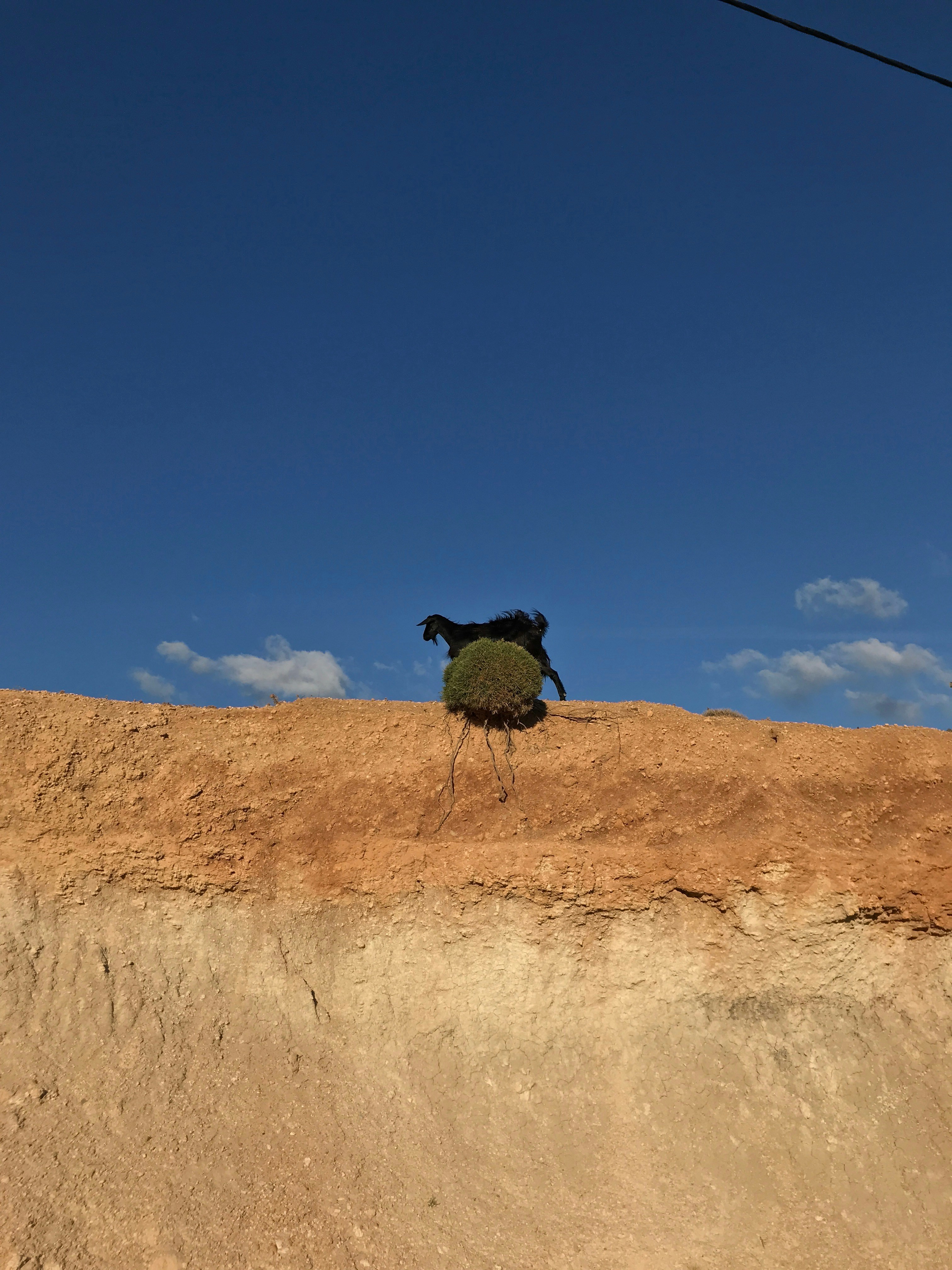 This photo is not edited