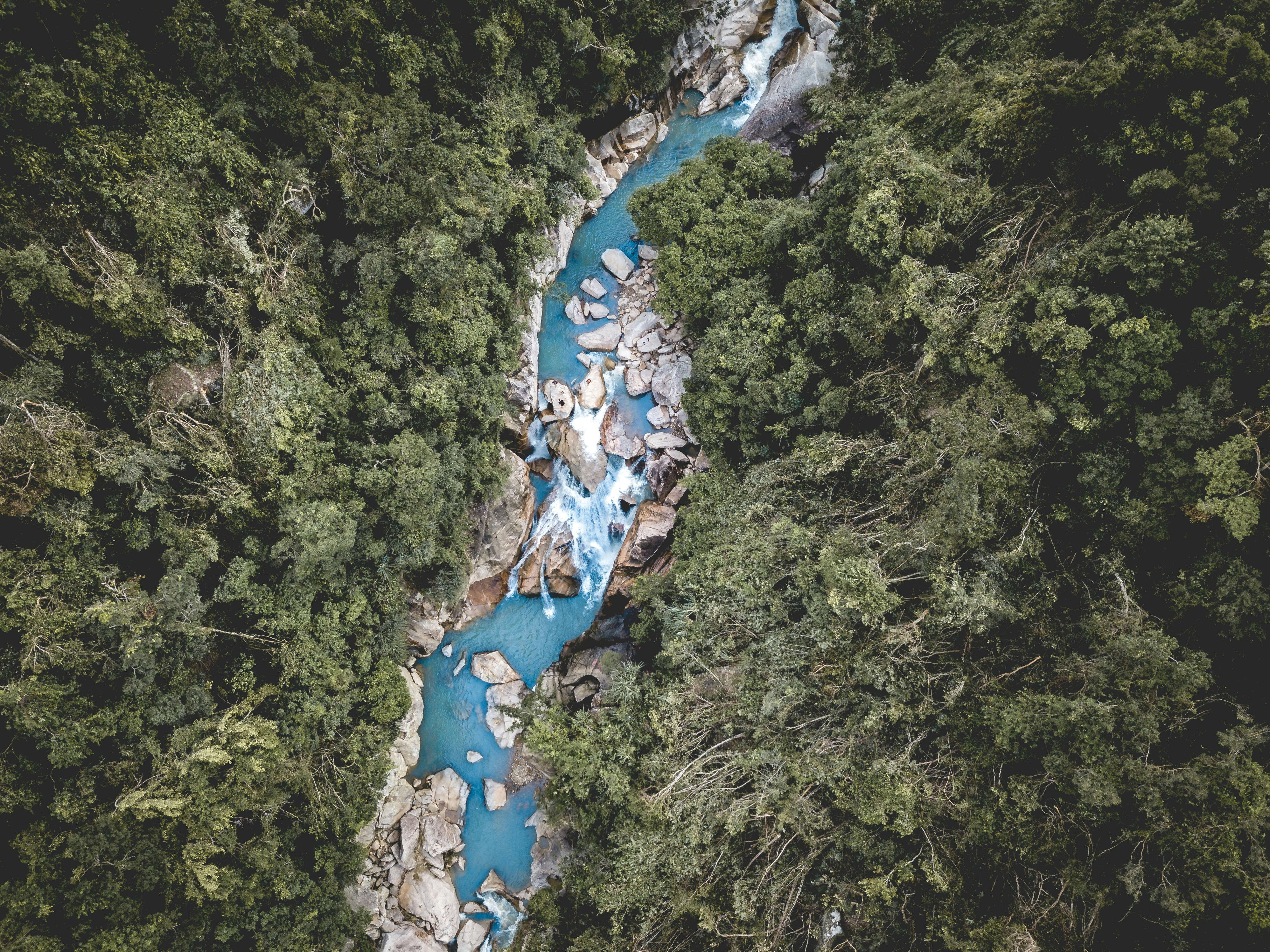 Bird's eye view of river photo – Free Landscape Image on Unsplash