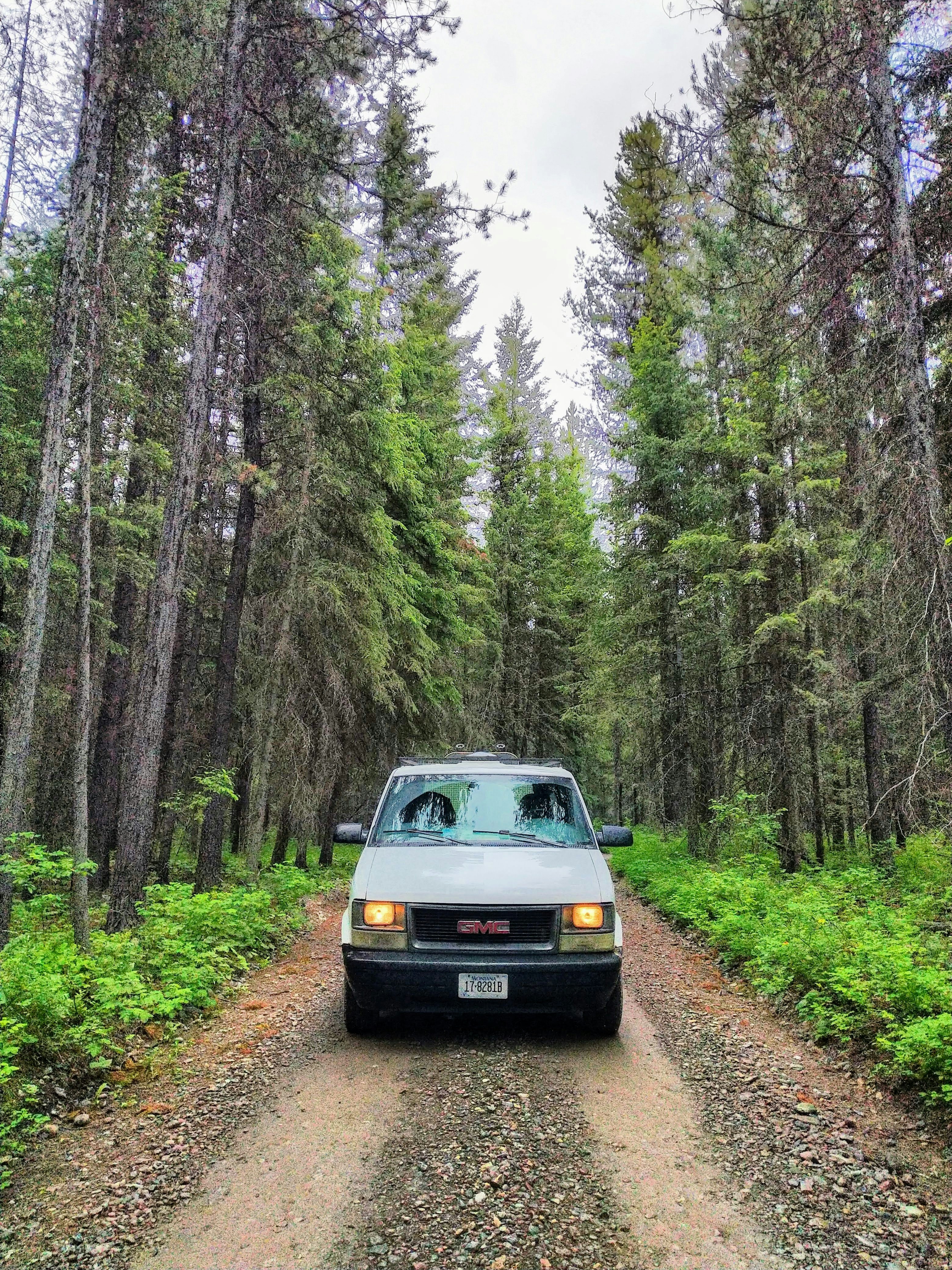 A GMC van parked on a gravel road flanked by tall evergreen trees, creating a serene forest atmosphere.