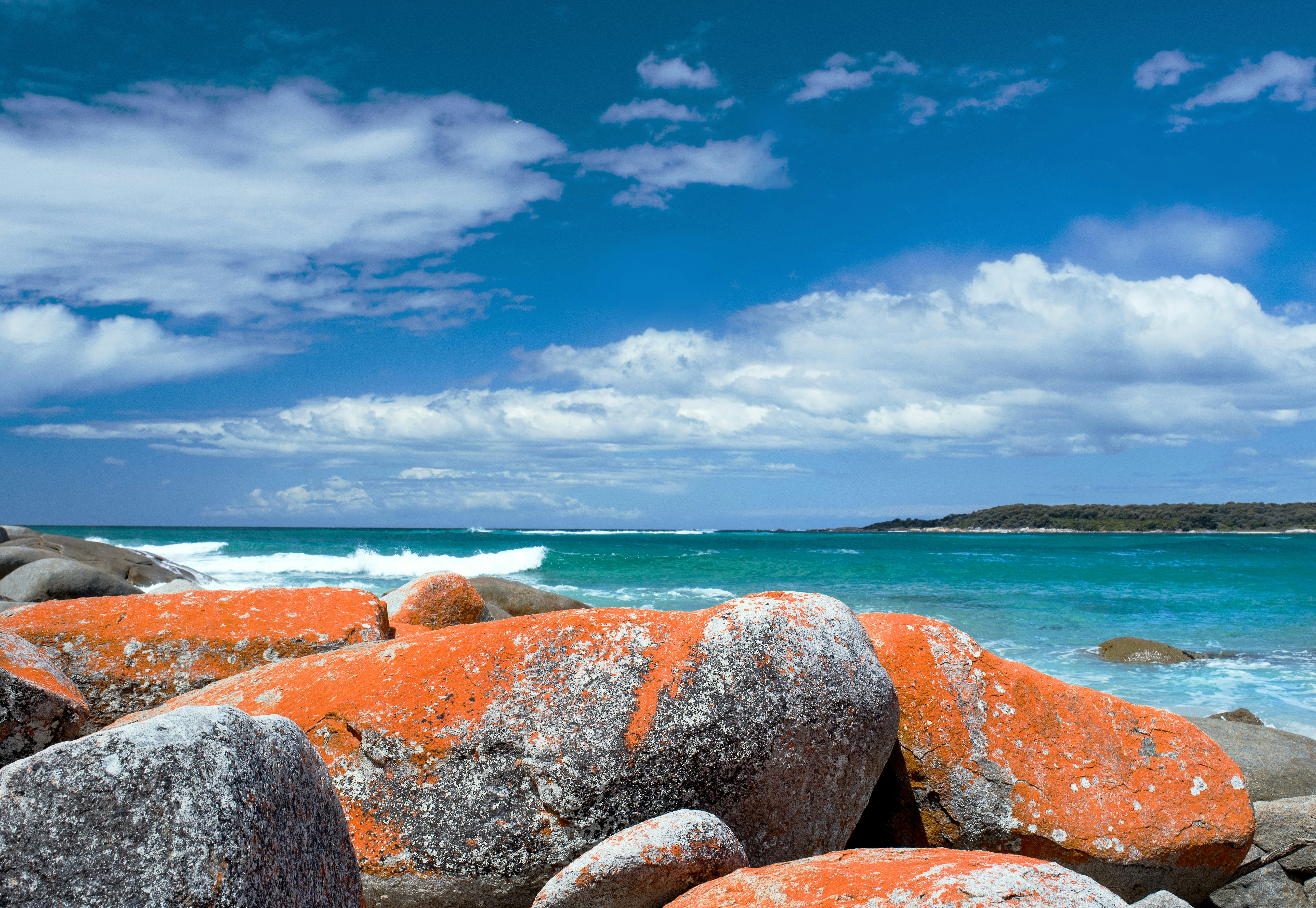 Granite boulders covered with orange lichen. Humbug point Reserve, looking towards St Helens point, Tasmania, Australia. | rocks by the sea shore