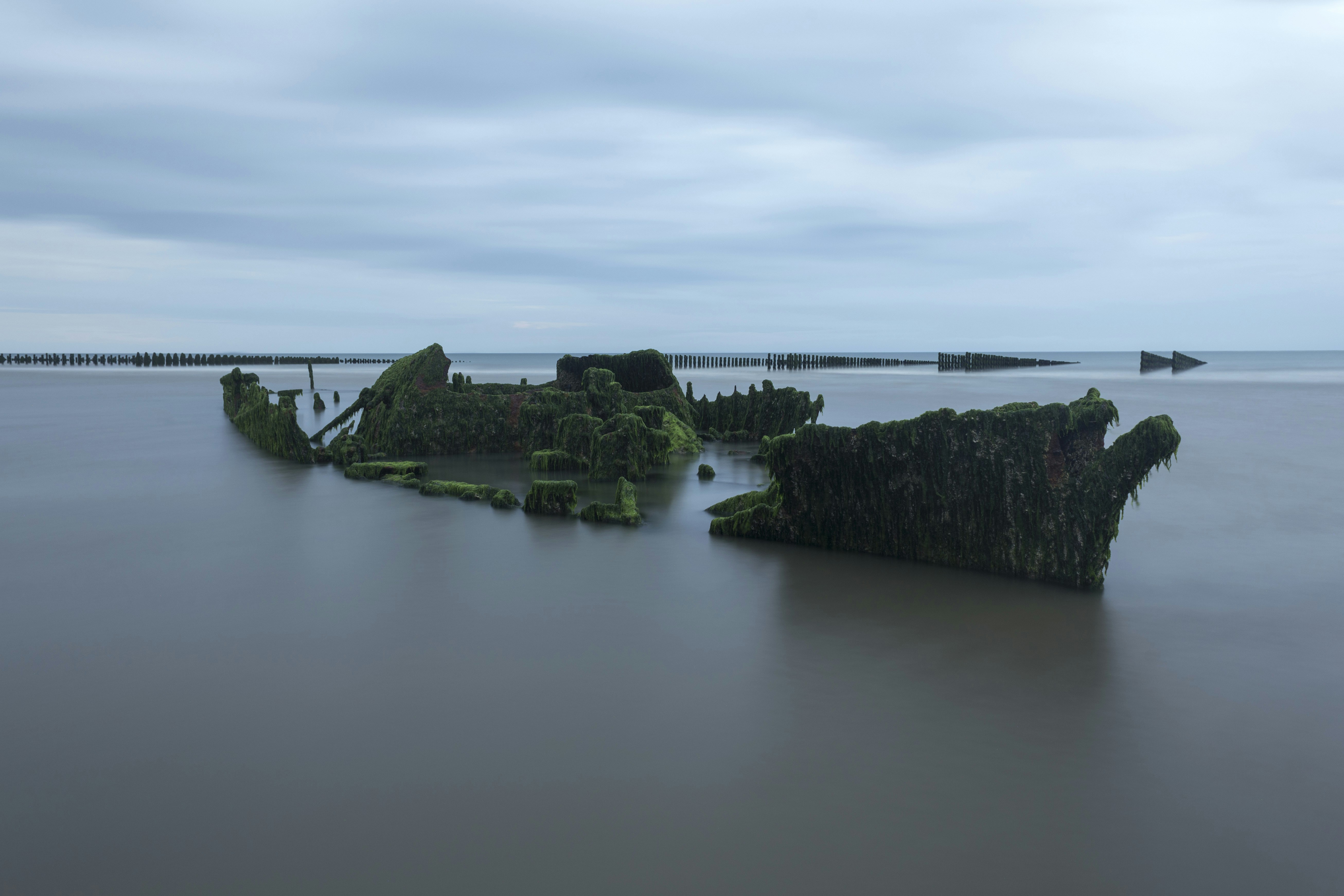 Moss-Cweled Sea Fragments: A Quiet Drift Among Submerged Ruins