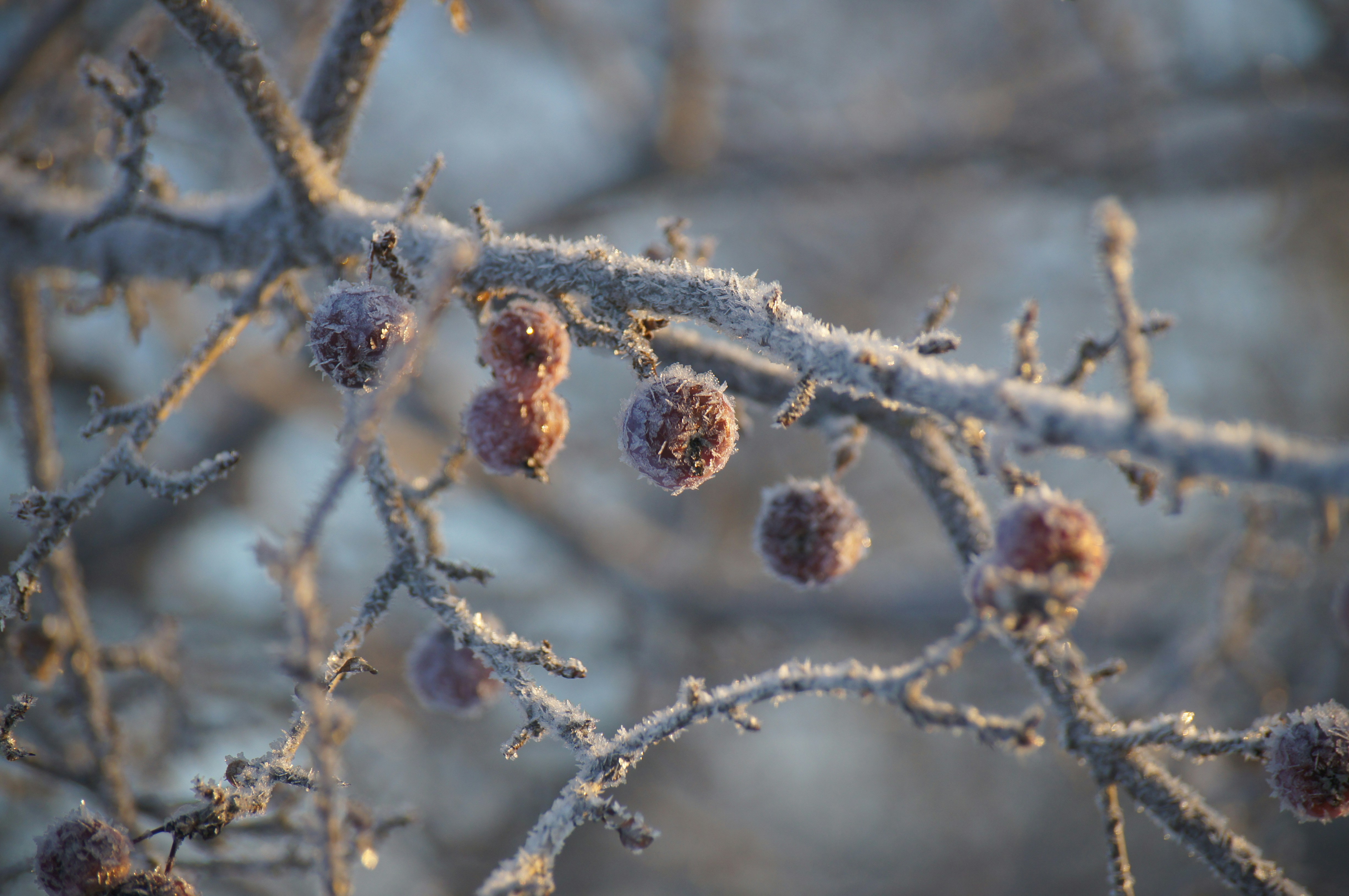 Zab Consulting (@zabit) | Communauté photos Unsplash