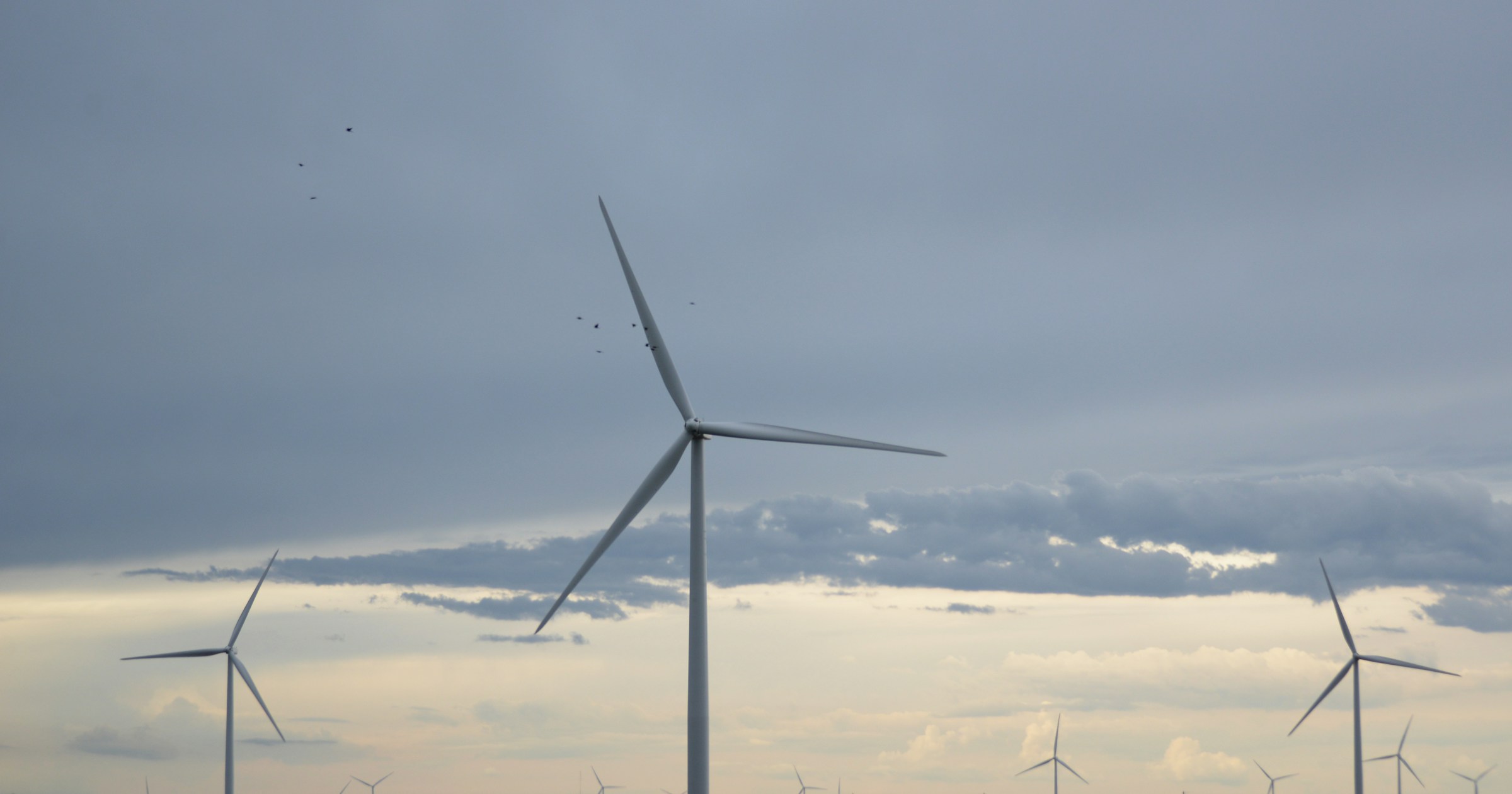 ESB announces pilot with Granular Energy to help organisations ... ESB announces pilot with Granular Energy to help organisations ...