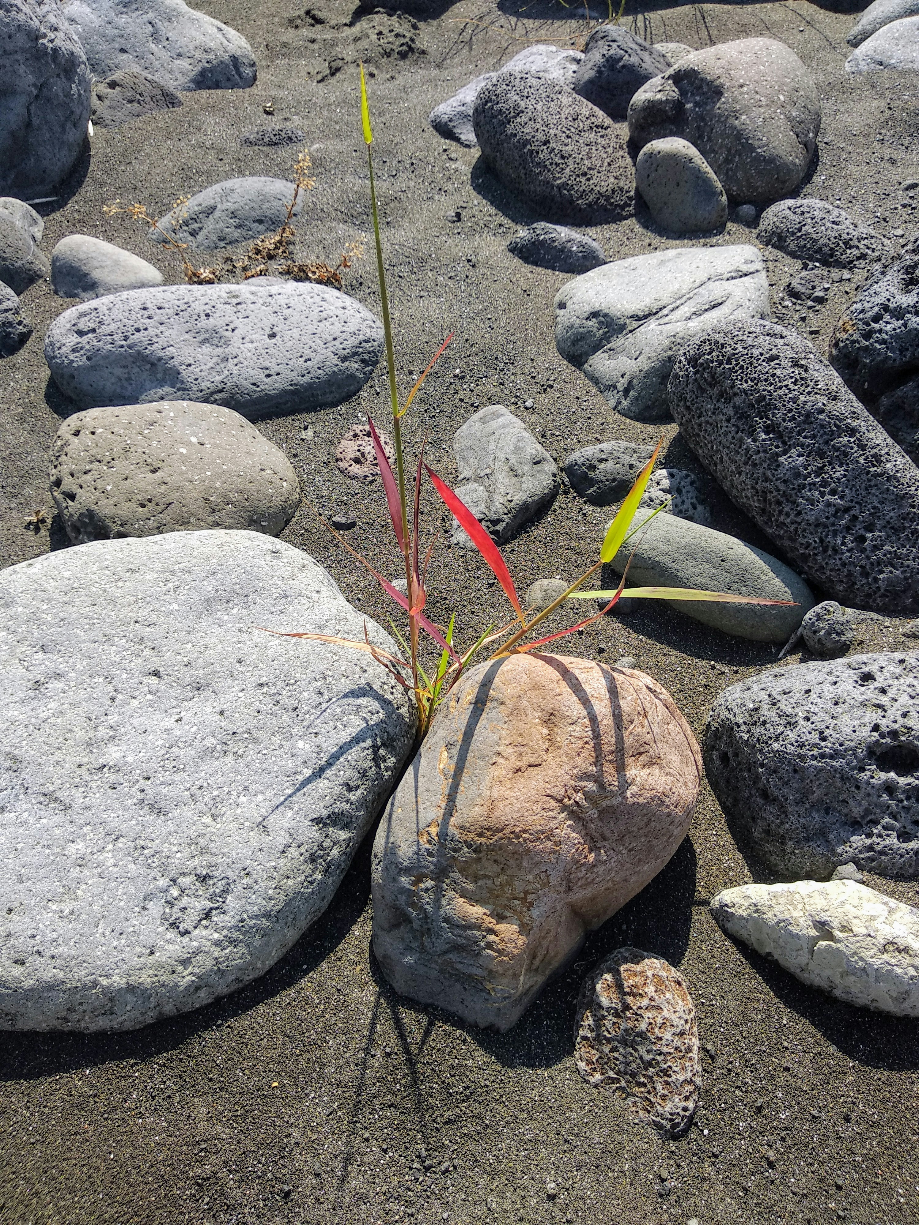 visnu deva (@visnudeva) | Komunitas Foto Unsplash