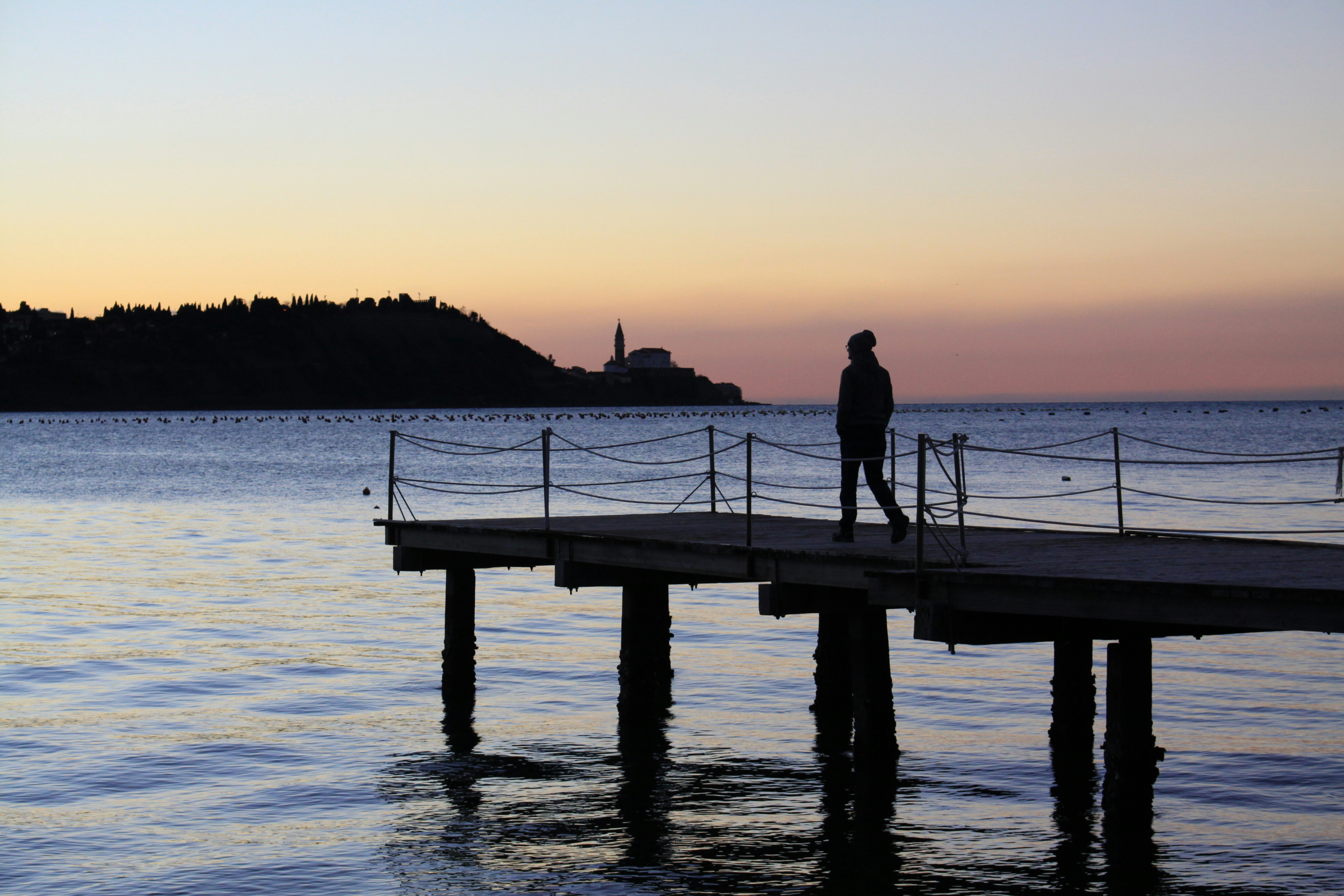 Homme debout sur le quai photo – Photo Le coucher du soleil Gratuite ...