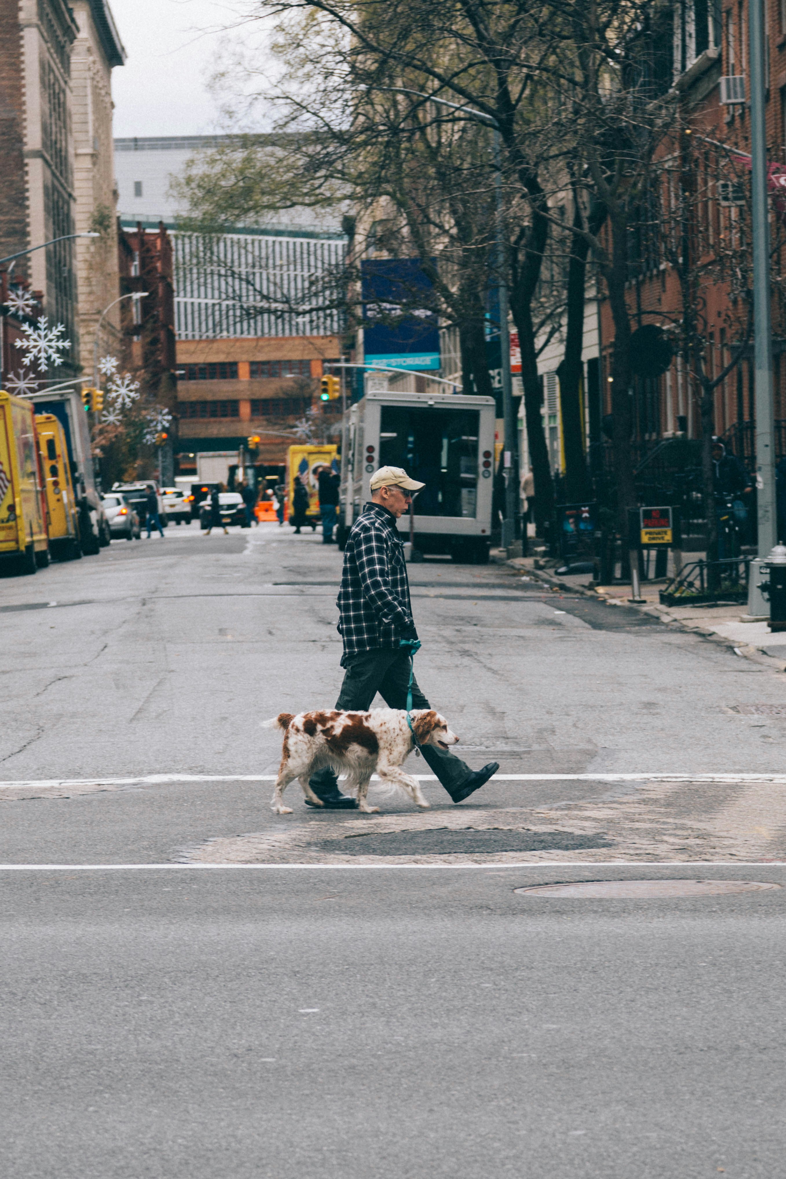 An older man in a checkered jacket walks his dog across a city street, surrounded by parked vehicles and urban architecture.