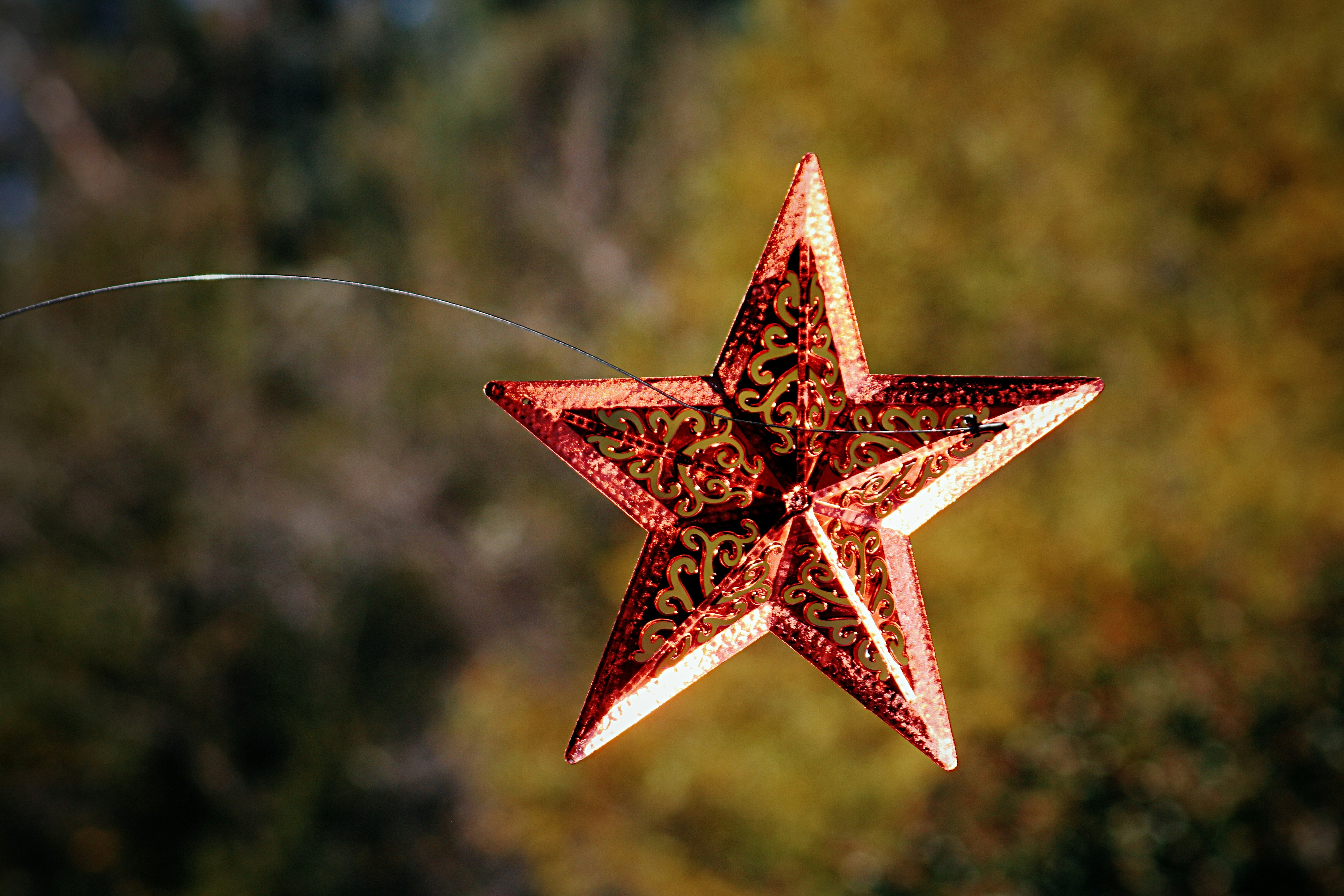 selective focus photography of red decorative star