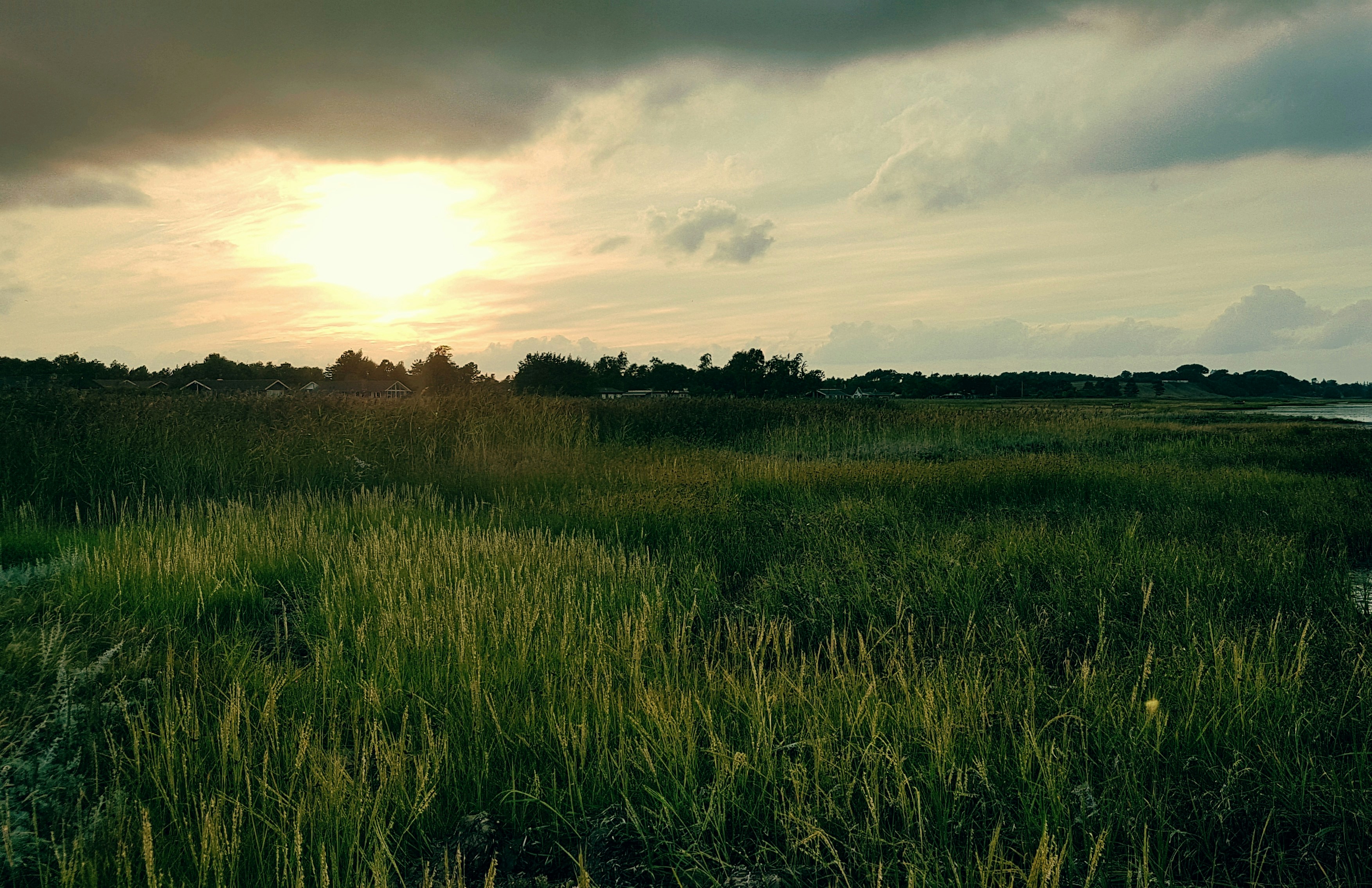 Dirk Gerber (@zorg) | Communauté photos Unsplash