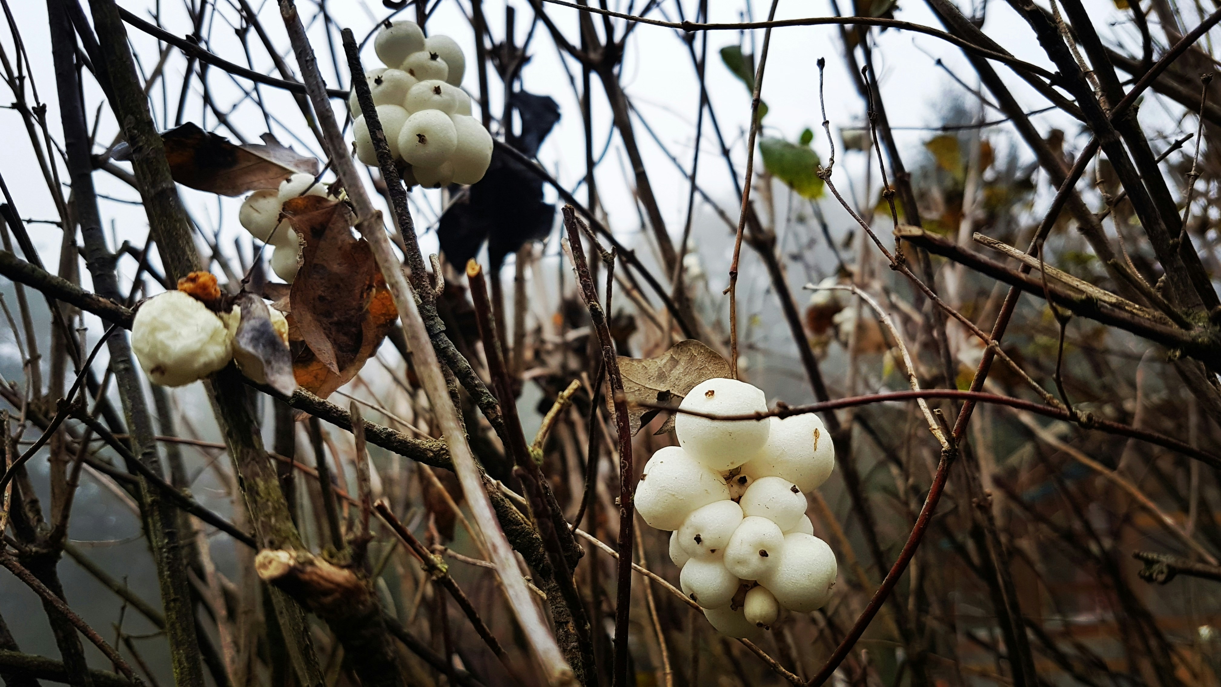 Dirk Gerber (@zorg) | Unsplashフォトコミュニティ